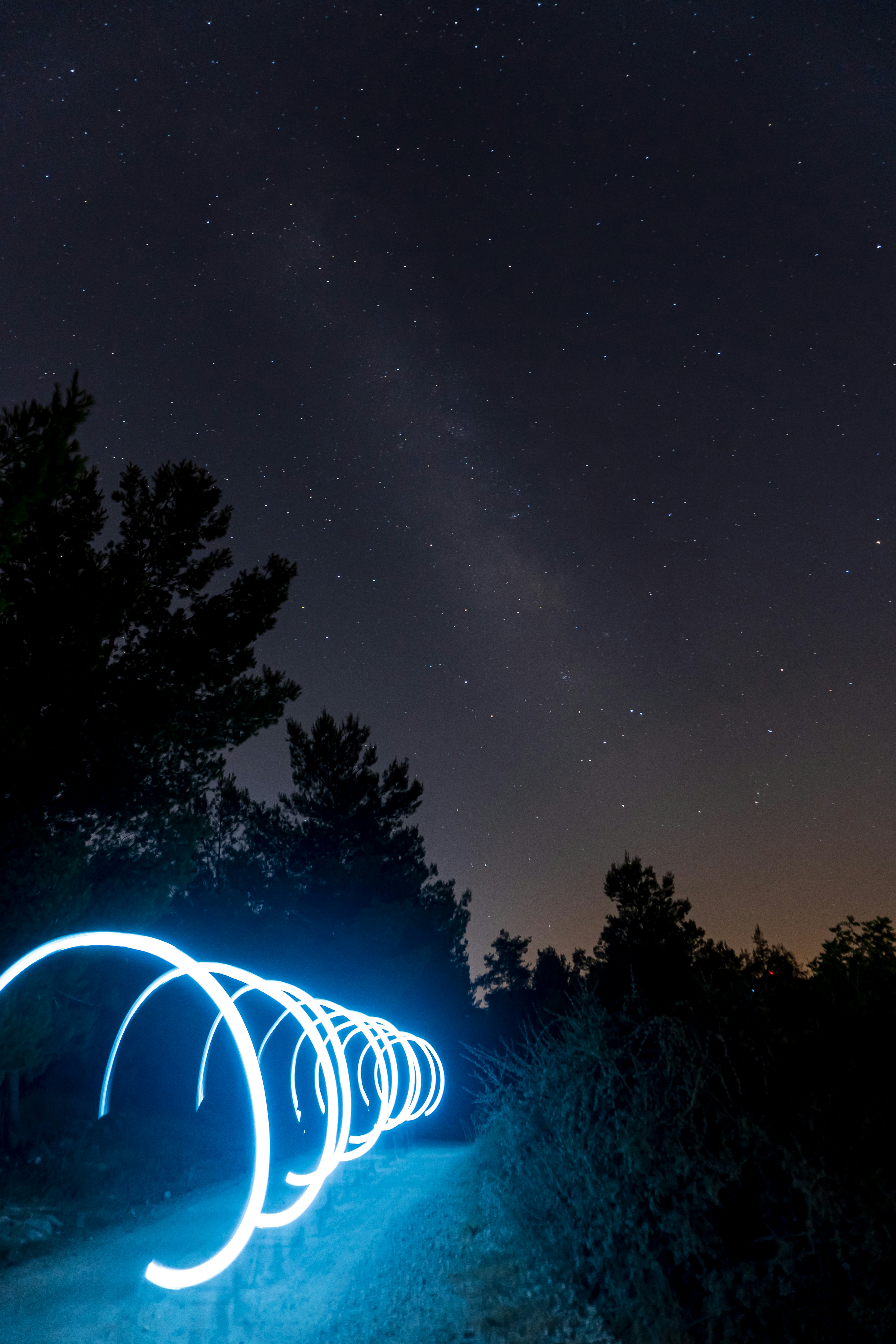 Light trails weaving through a dark forest path under a starry night sky, with the Milky Way subtly visible above.