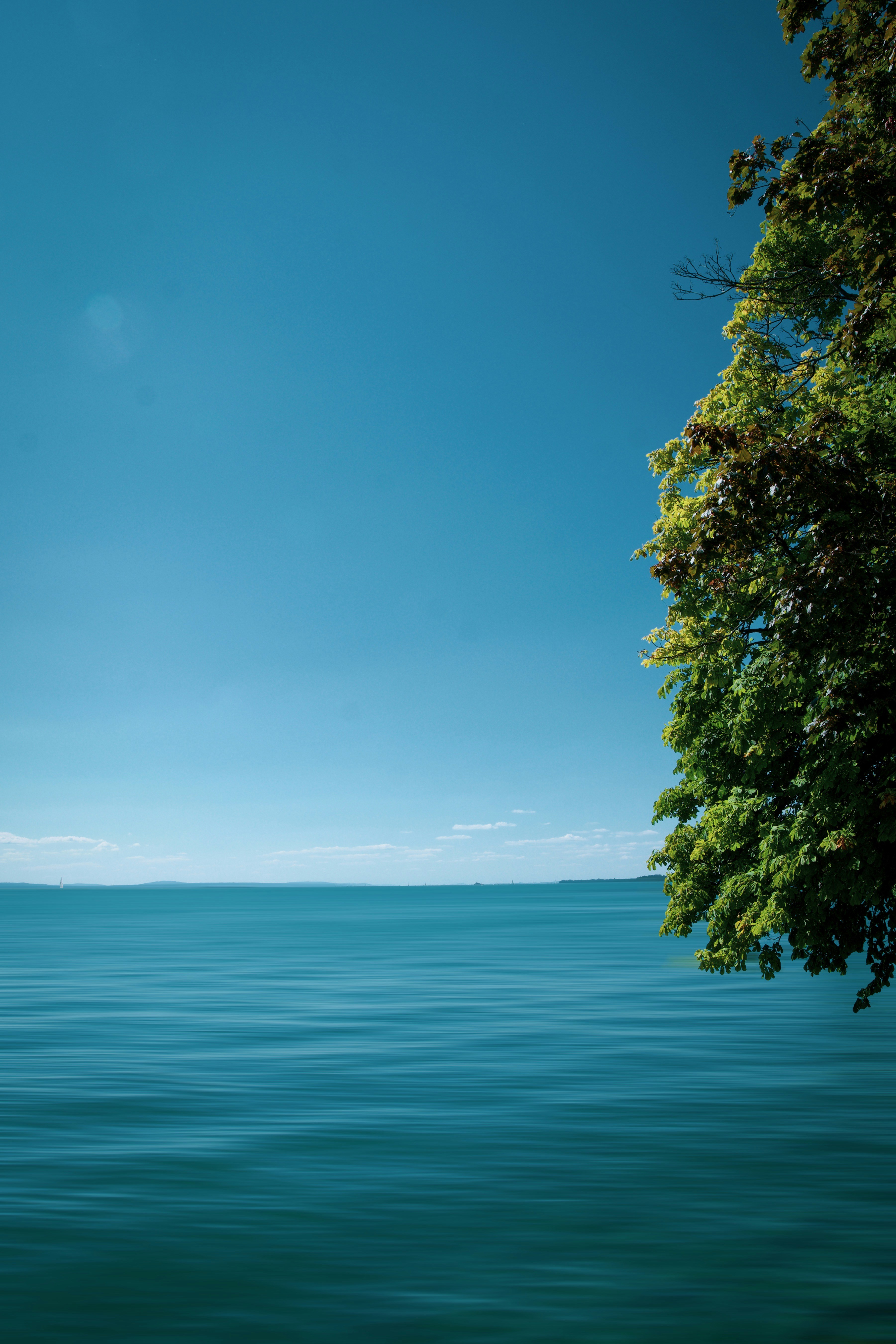 Green tree near body of water during daytime photo – Free Germany Image ...