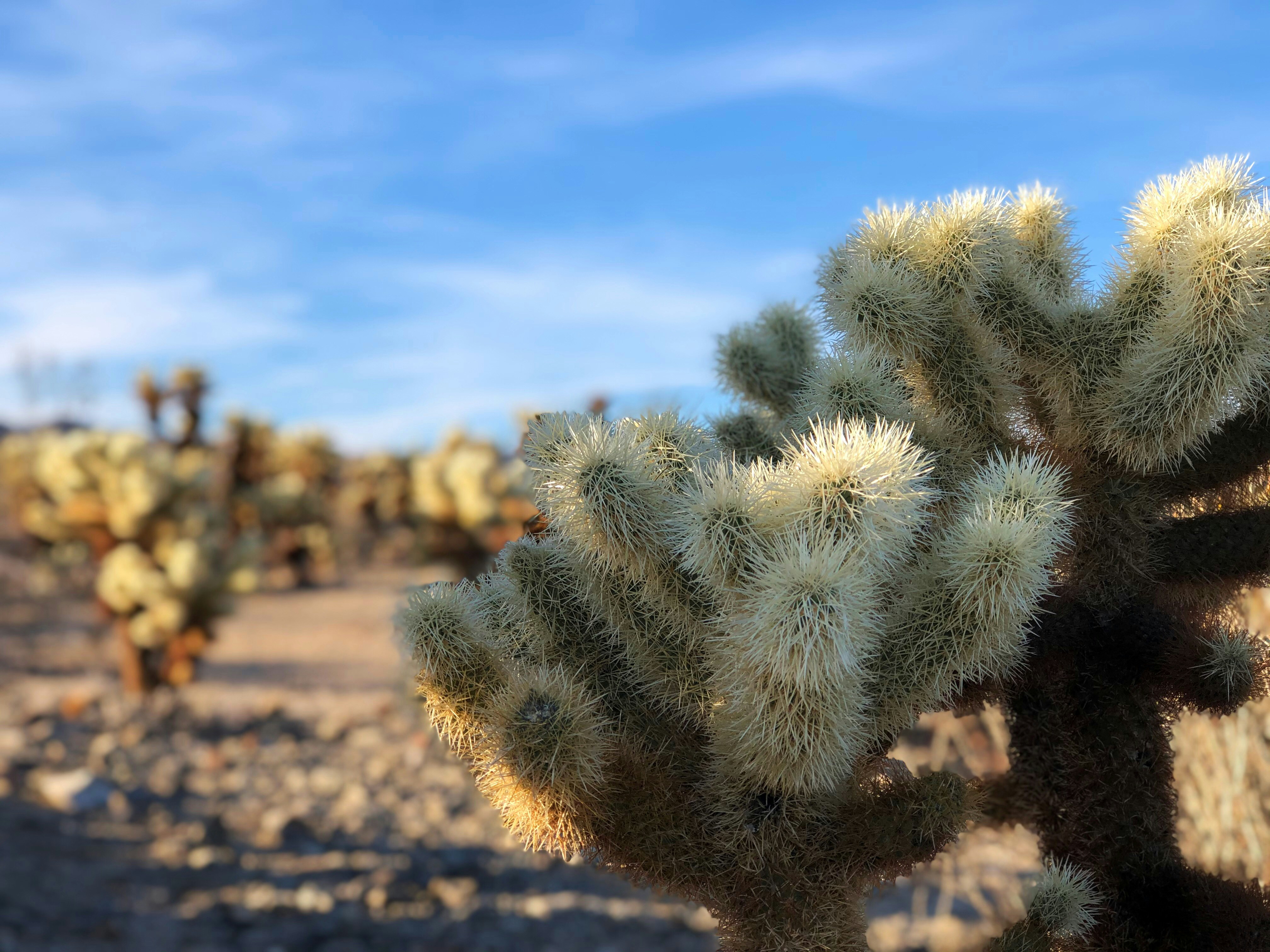 State Park | 2 best free state park, usa, united state and outdoor ...