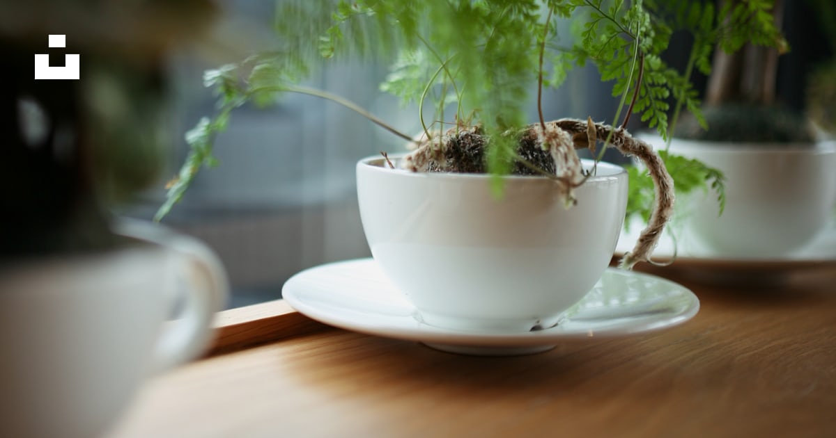 Tasse à Thé En Céramique Blanche Sur Soucoupe En Céramique Blanche