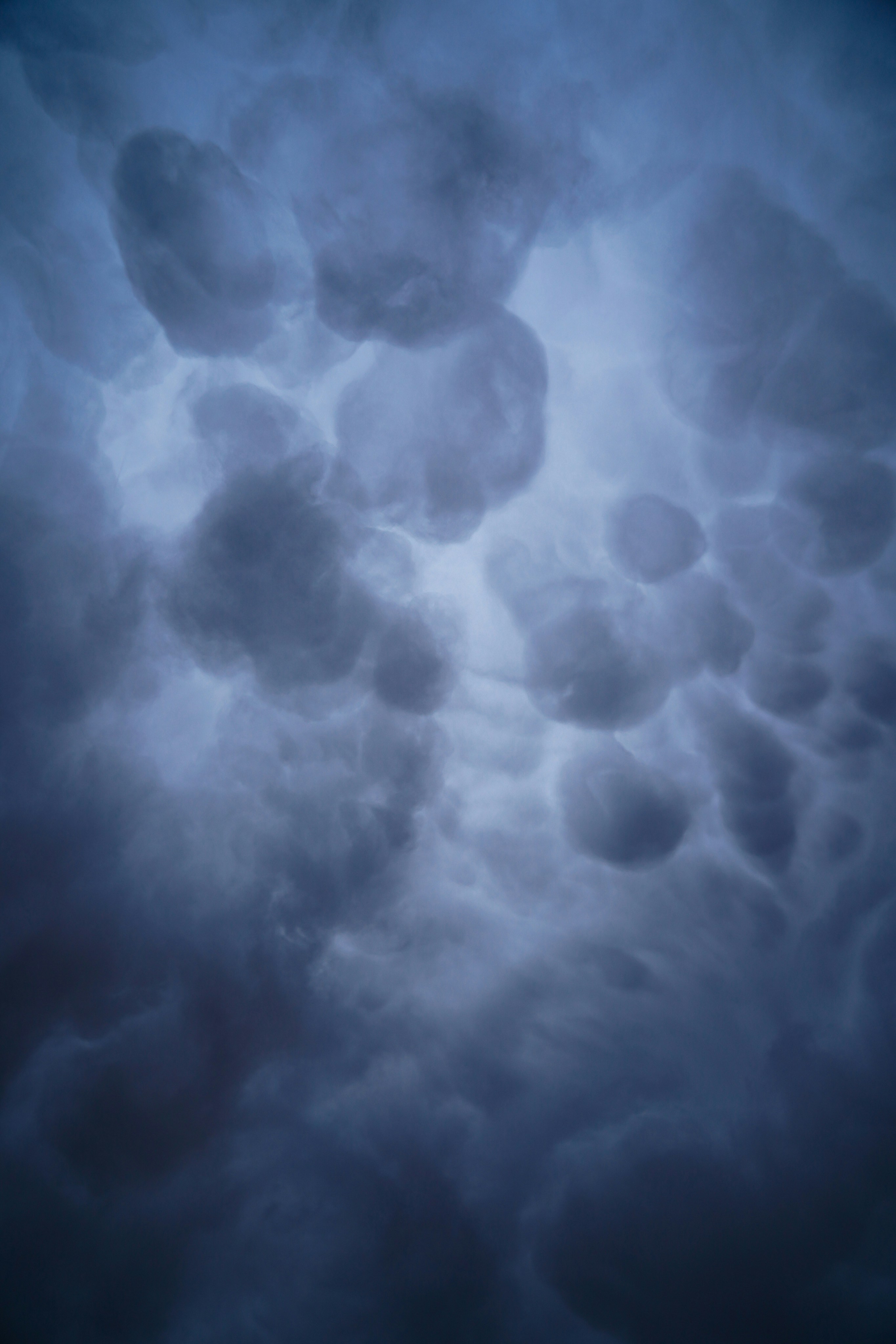 Azure Cloudscape: Velvet Bubbles Drift in a Quiet Blue Sky