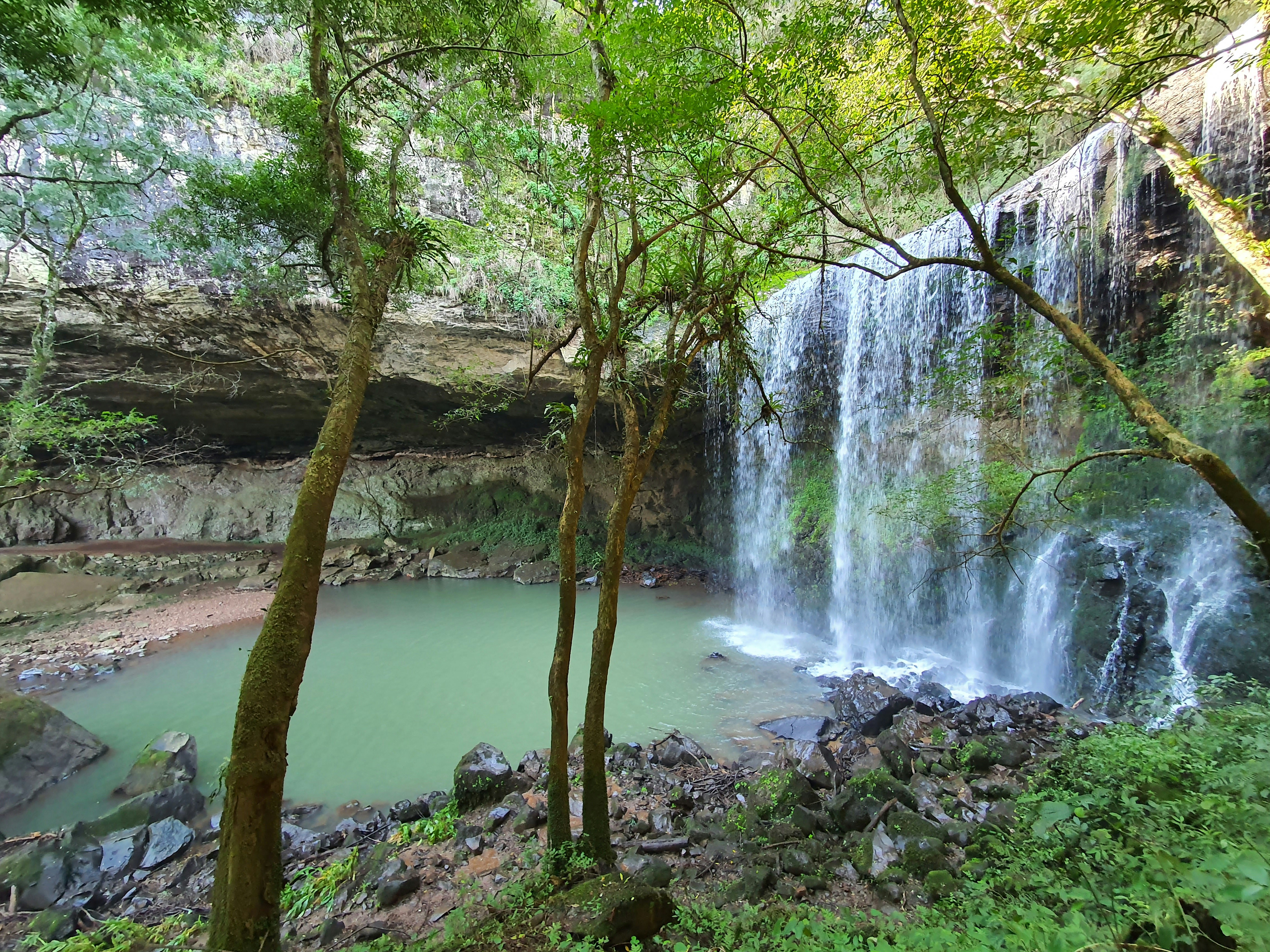 Waterfall cascading into a tranquil pool surrounded by lush greenery in a secluded forest setting.