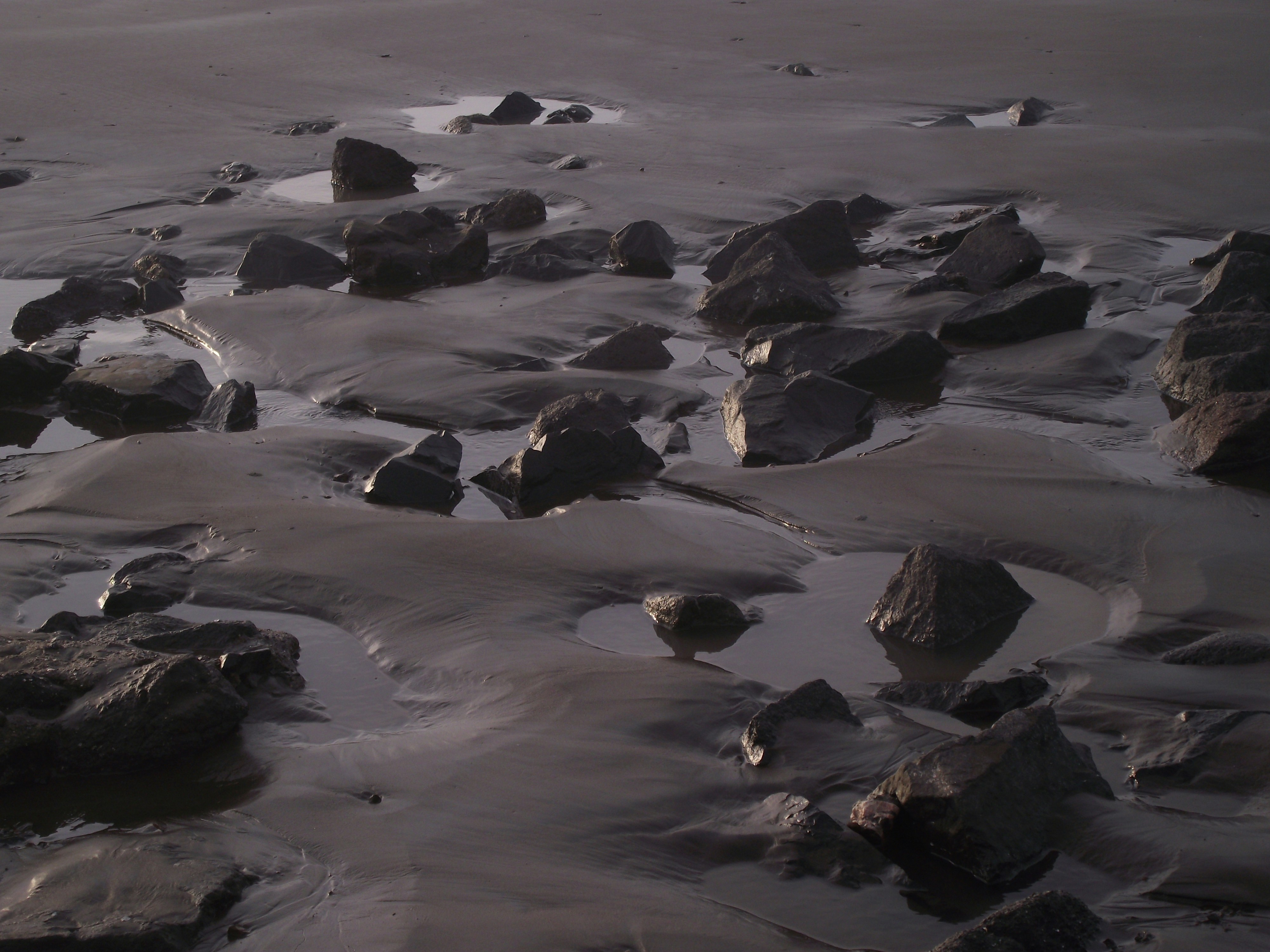 Low-angle photograph of a rock-strewn shoreline at dusk, with wet sand reflecting muted light. The composition emphasizes texture and the quiet rhythm of scattered boulders.