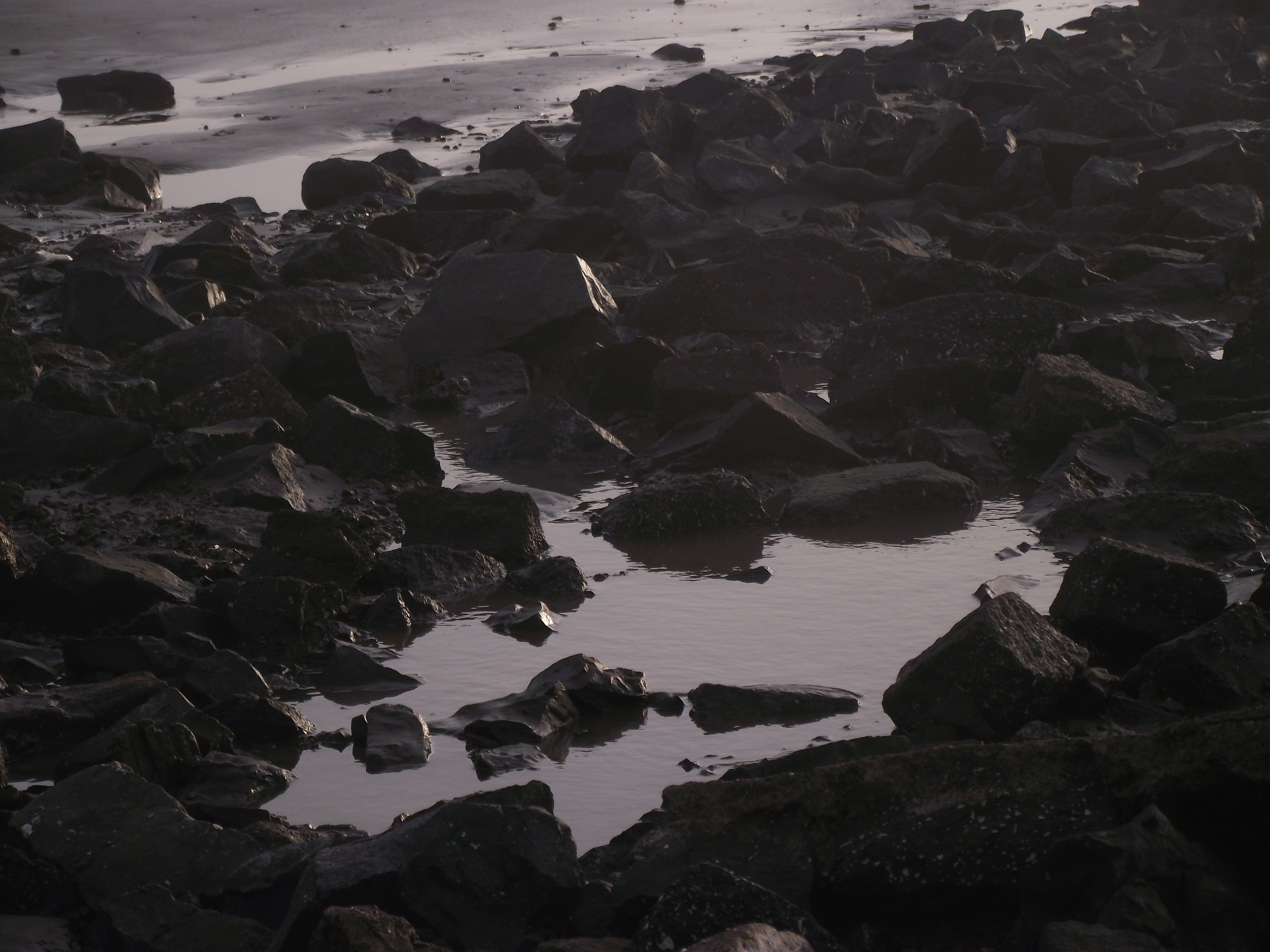Grayscale coastal rocks form jagged textures with reflective tidal pools under dim light.