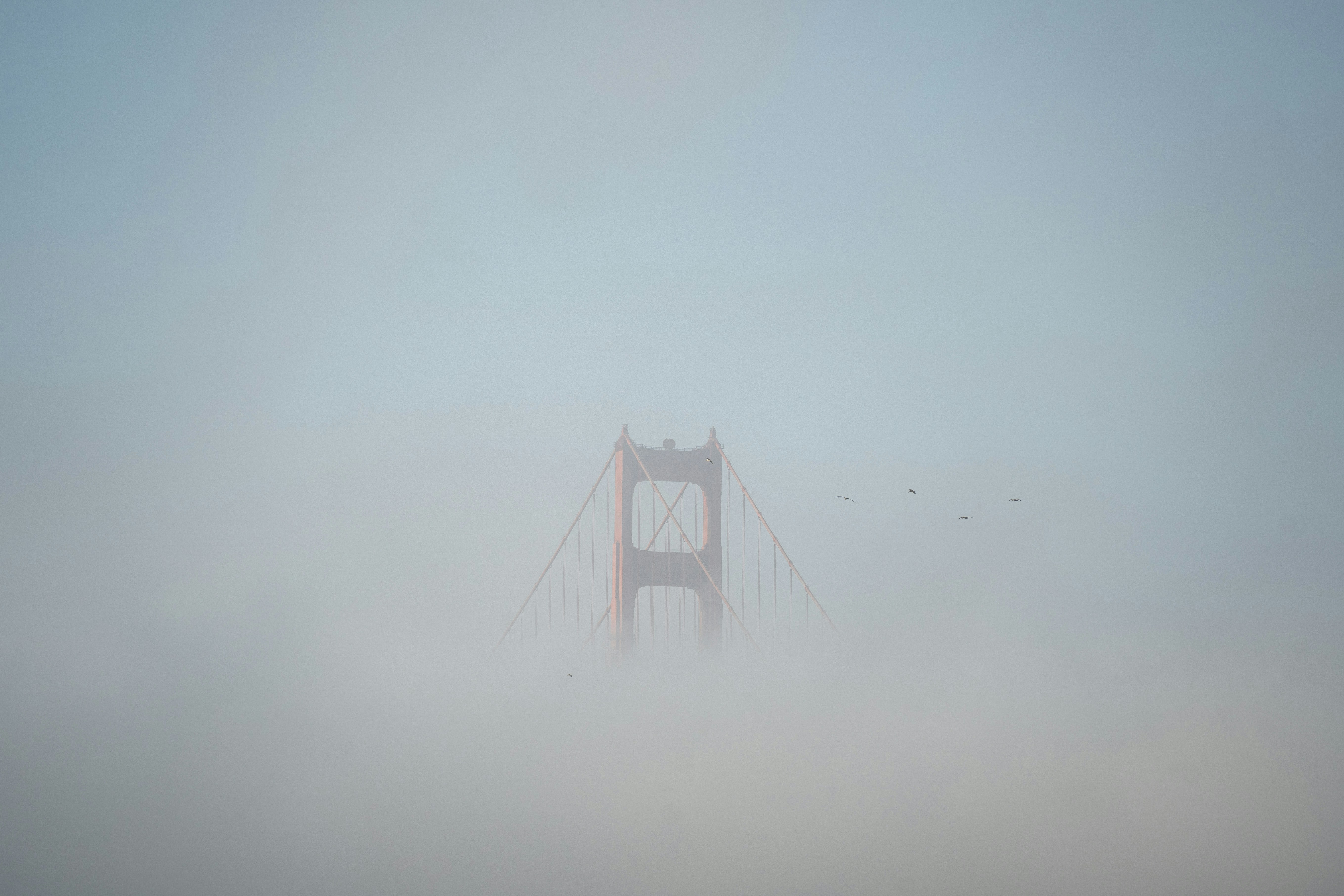 Golden Gate Bridge partially obscured by fog, creating an ethereal atmosphere with hints of the structure visible. Birds fly in the distance.