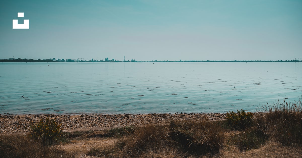 Green Grass Near Body Of Water During Daytime Photo Free Blue Image