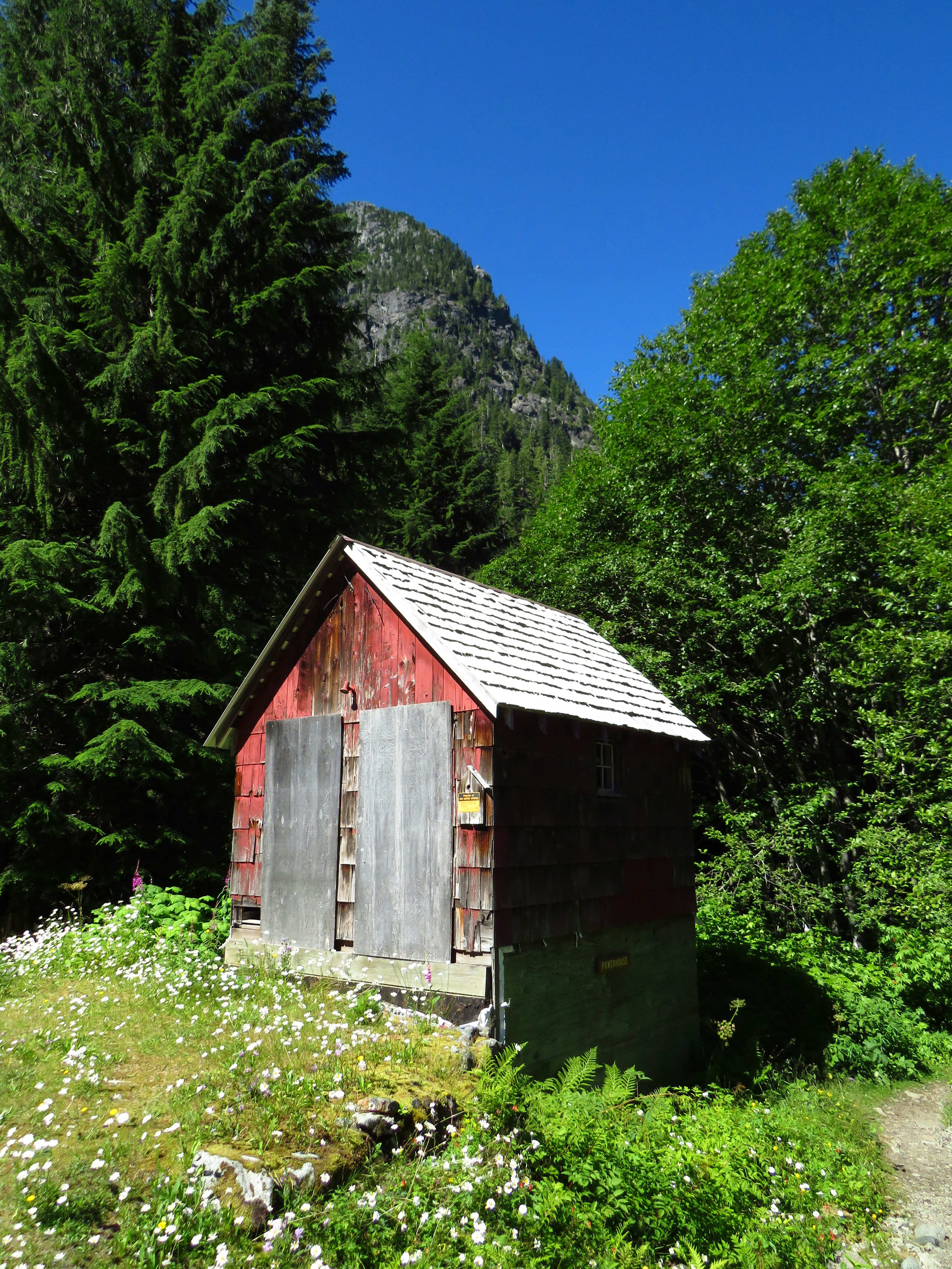 Sunlit Red Shed at the Foot of Alpine Pines