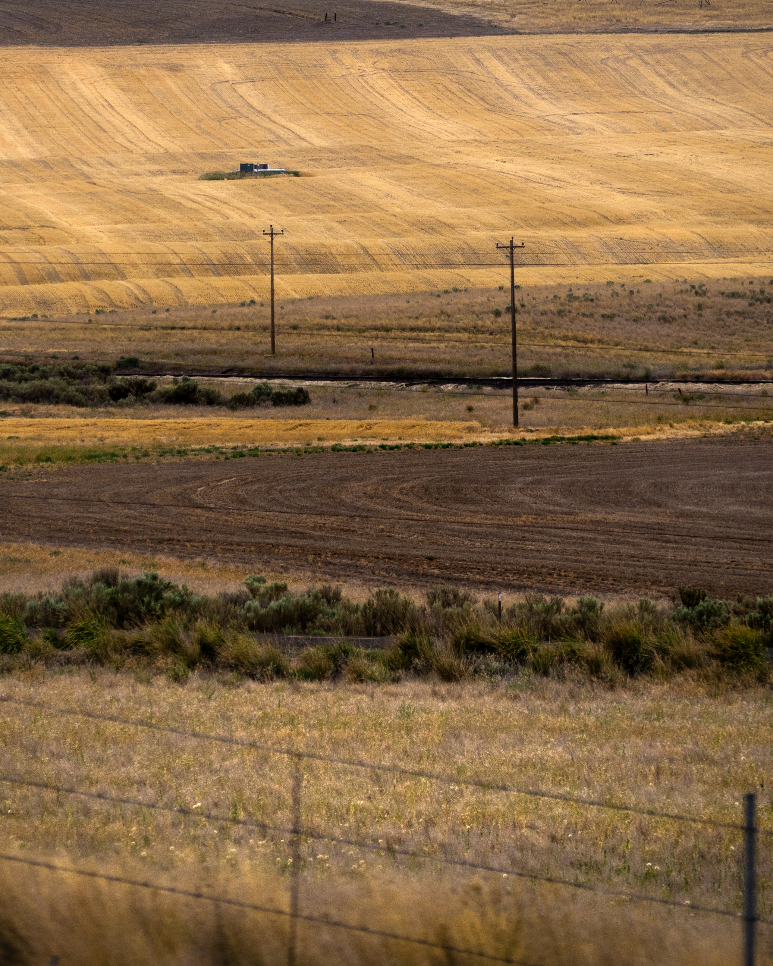 Fields of MontanaRobbie Palmer