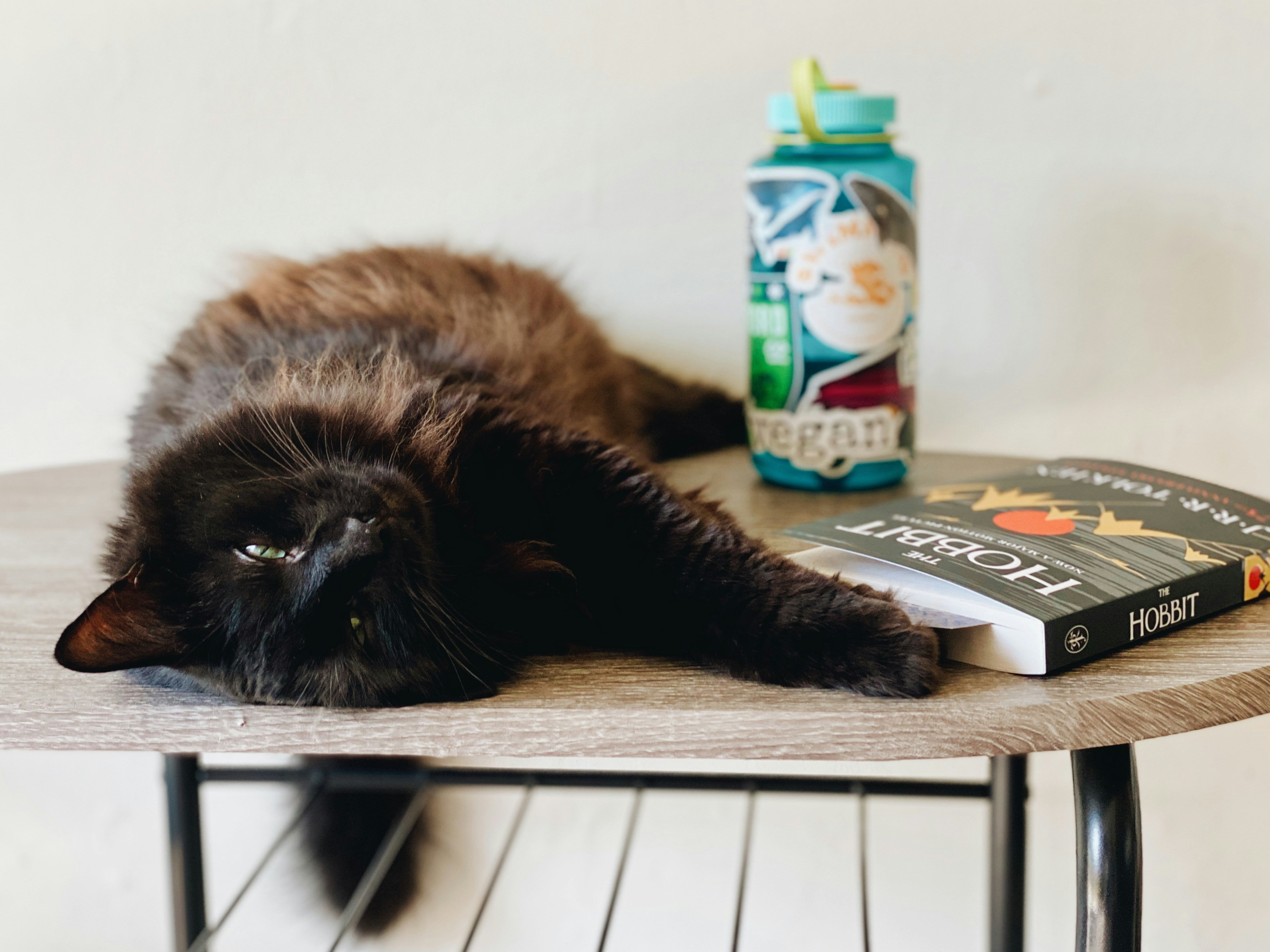 A black cat sprawled lazily on a wooden table beside a water bottle and an open book titled 'Hobbit.'