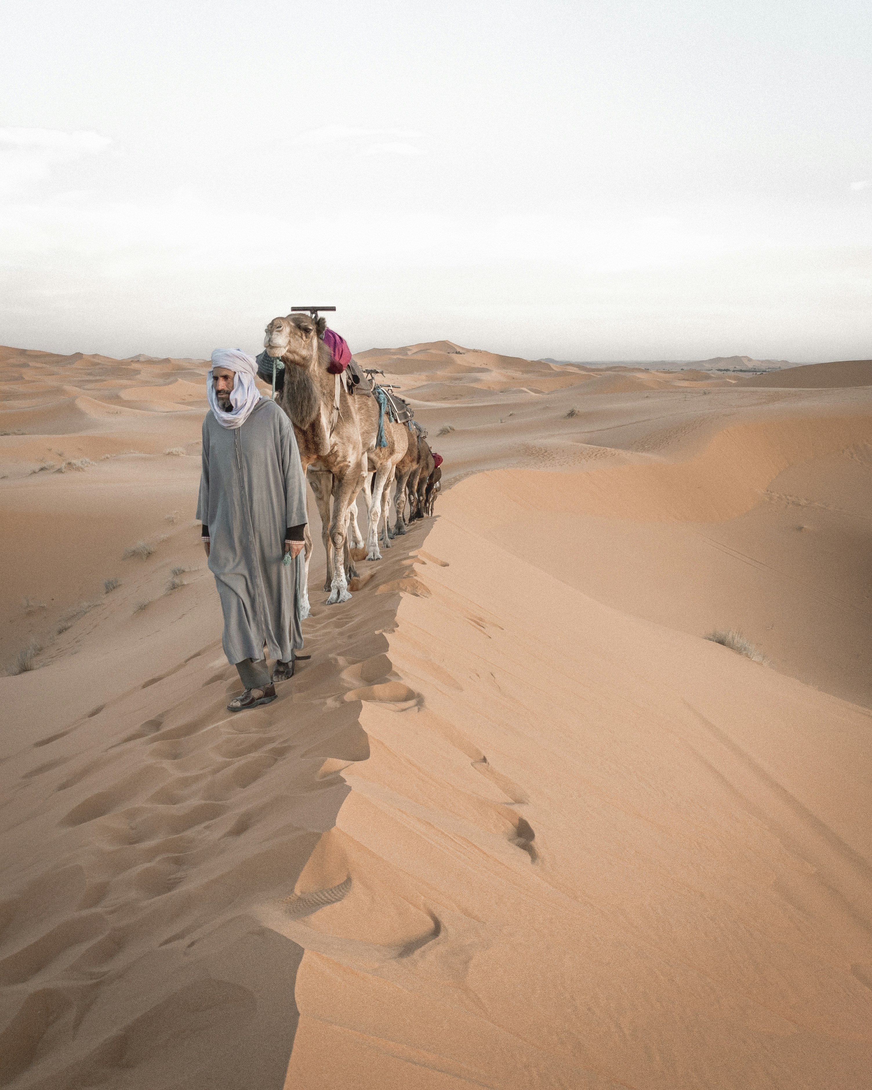 A lone figure in traditional attire leads a caravan of camels across undulating sand dunes under a soft sky.