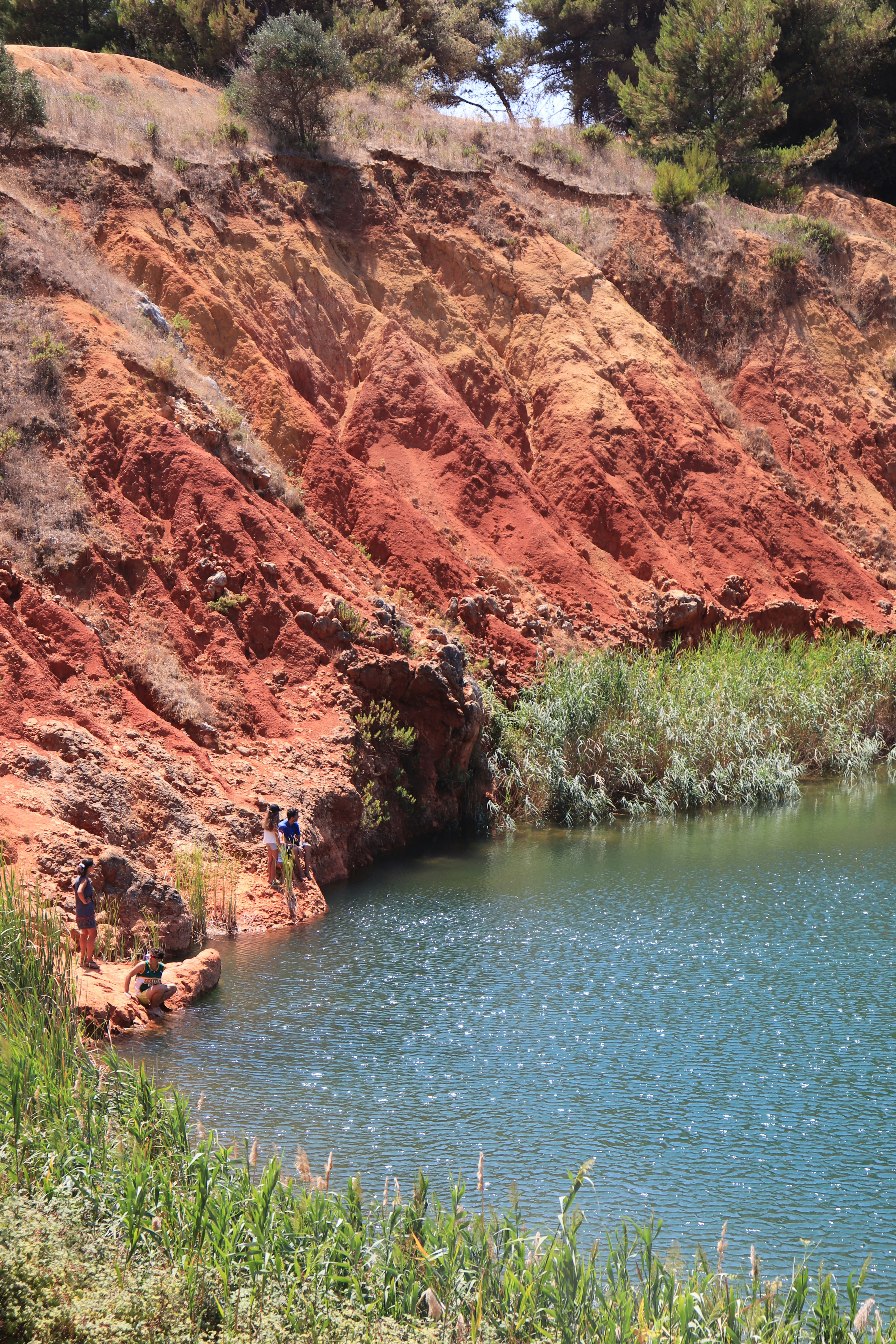 Red Rock Overlook: A Lime-green Oasis by the Cliffside