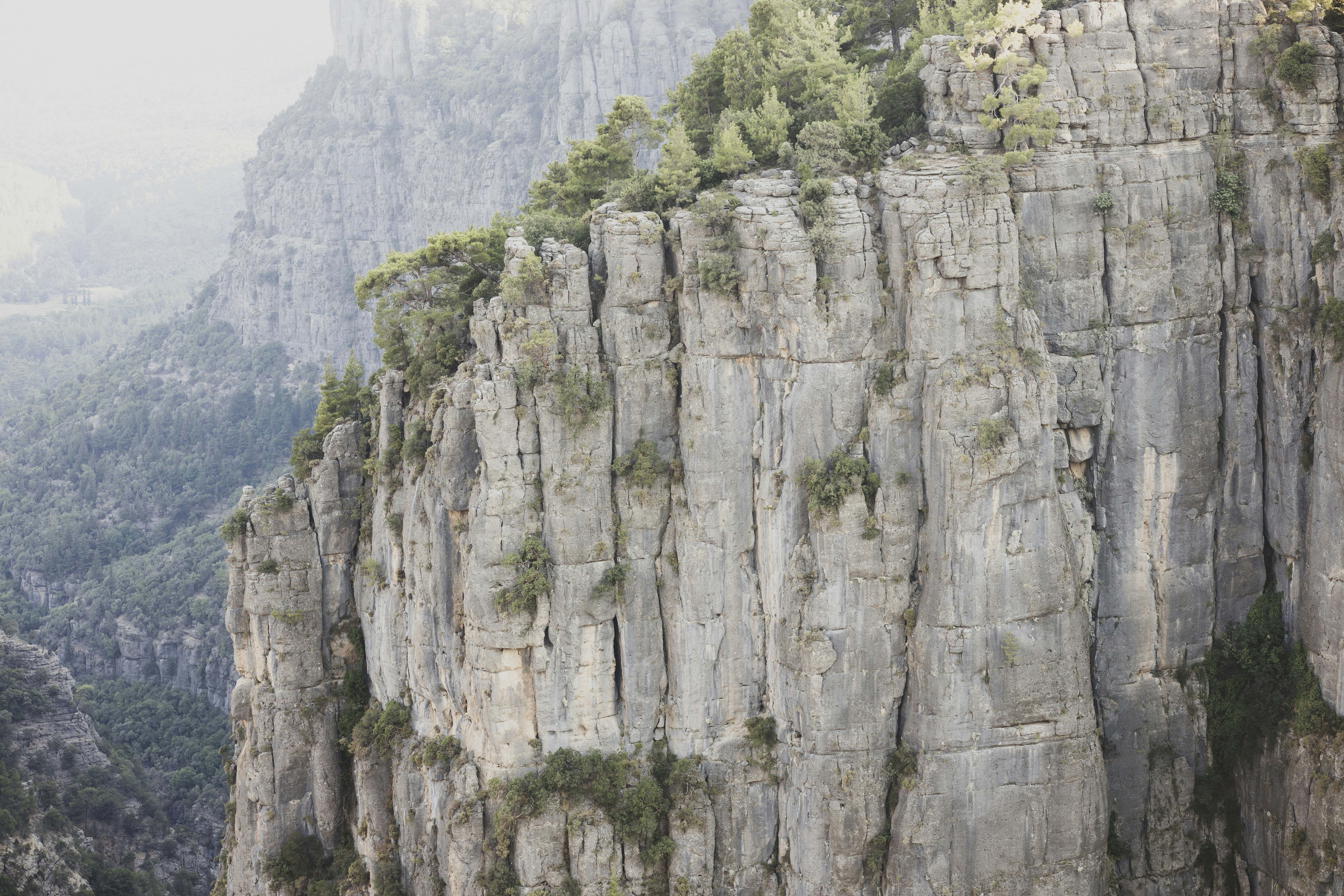 Towering gray cliffs adorned with patches of greenery under soft daylight.