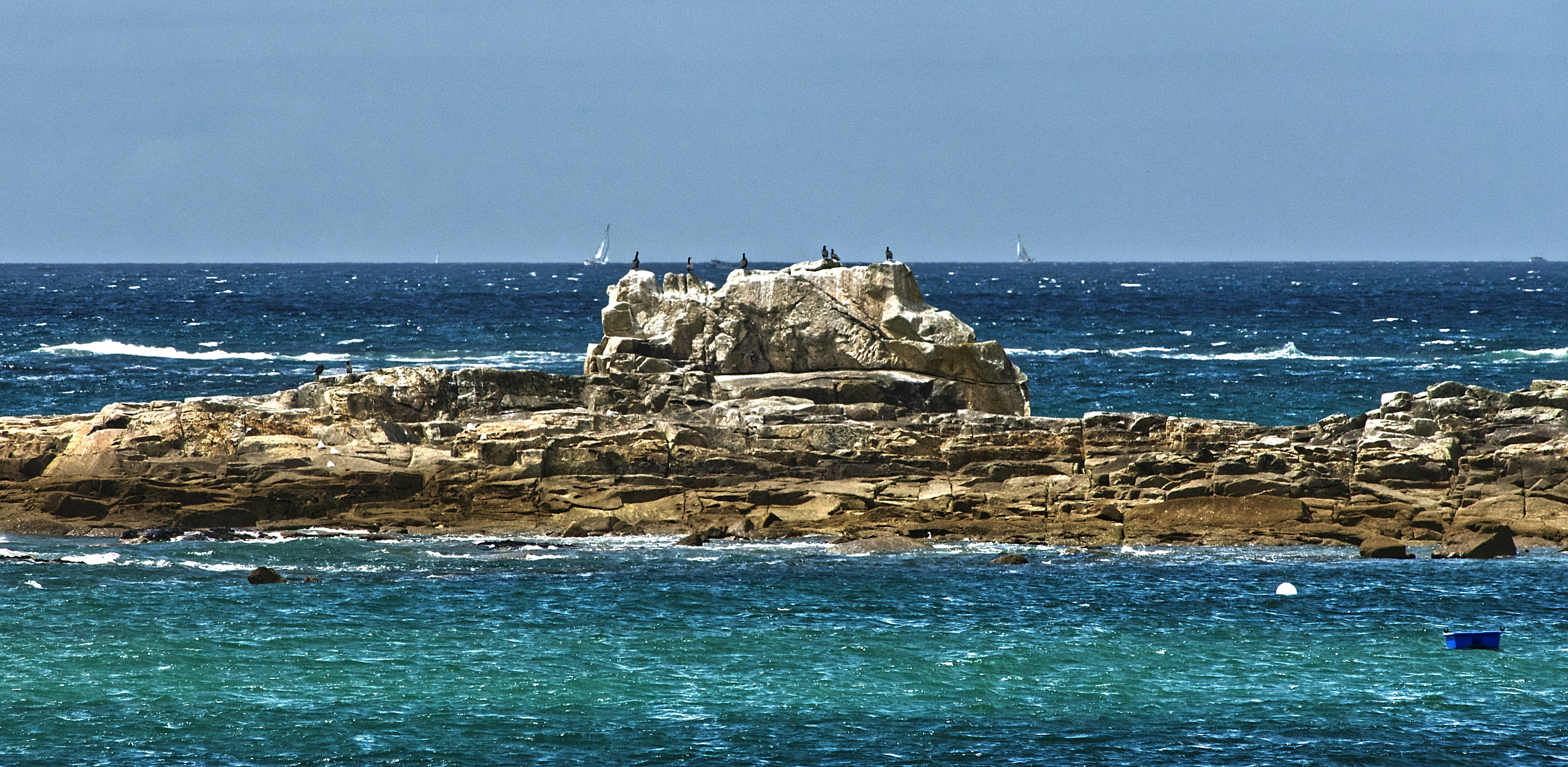 Rocky Summit Over Turquoise Waters: Seabirds at Rest