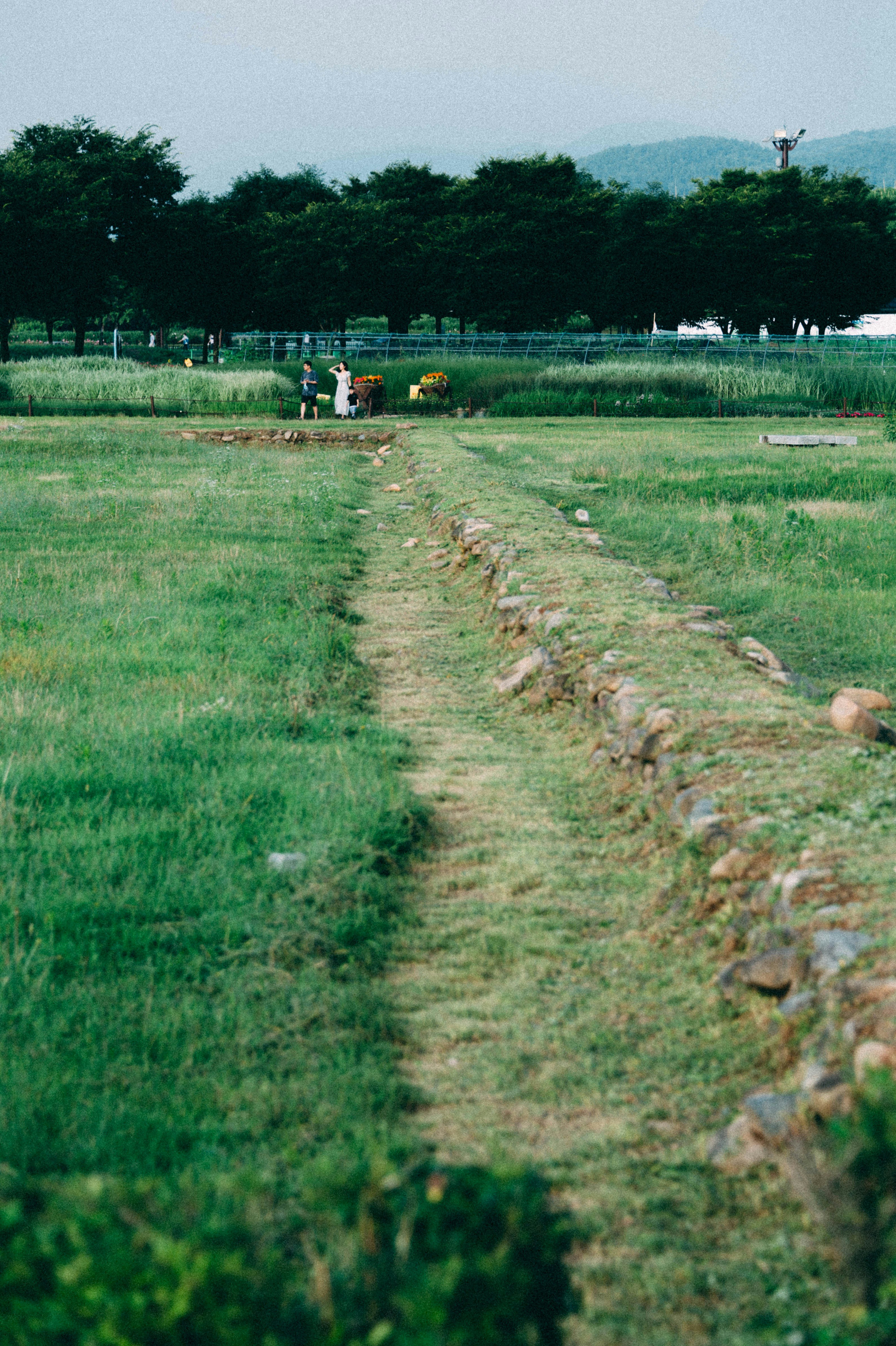 Narrow Path Through a Lush Corridor Toward a Quiet Park Moment