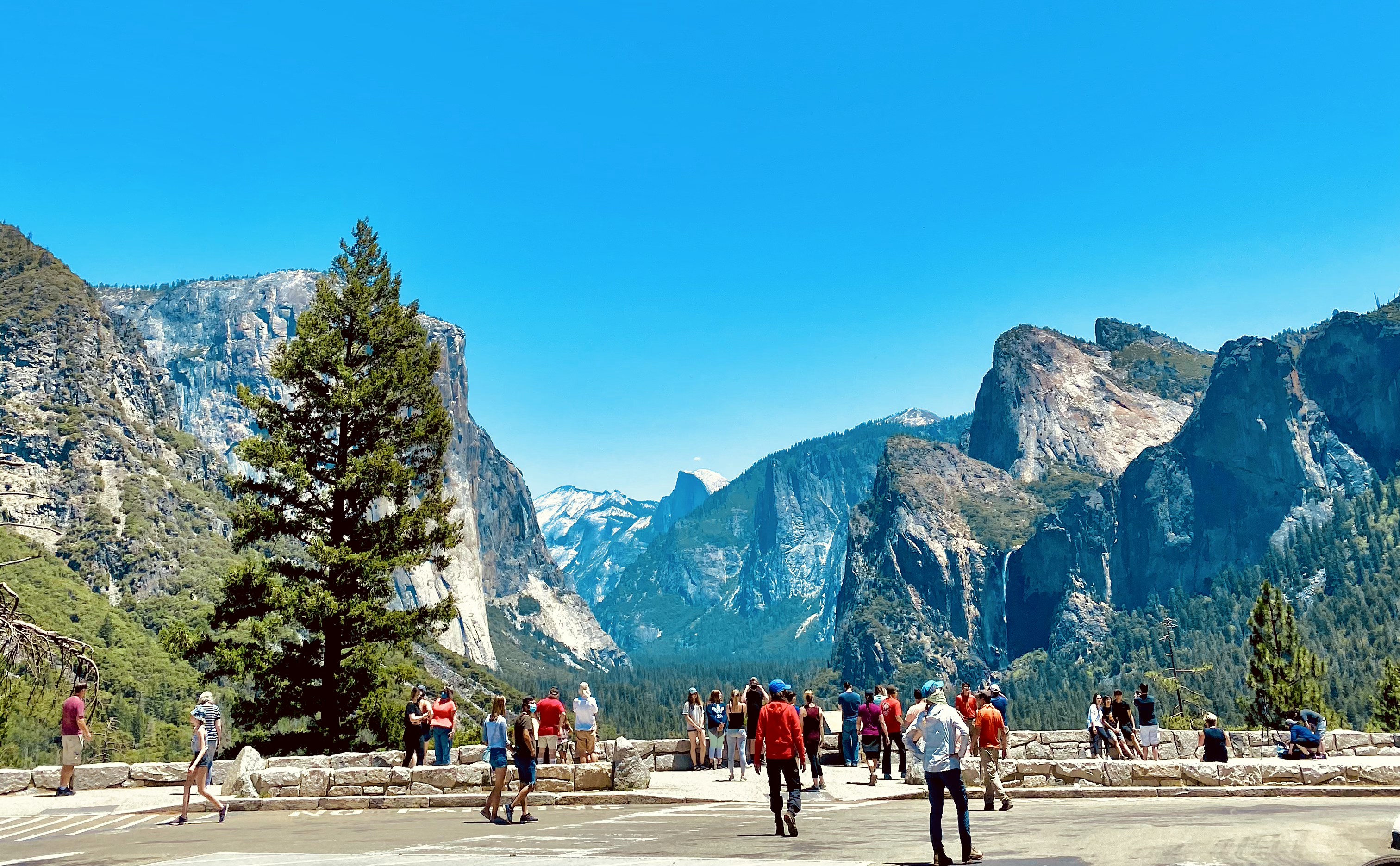 Overlook Crowd Beneath Towering Granite Spires at a Blue-Sky Vista