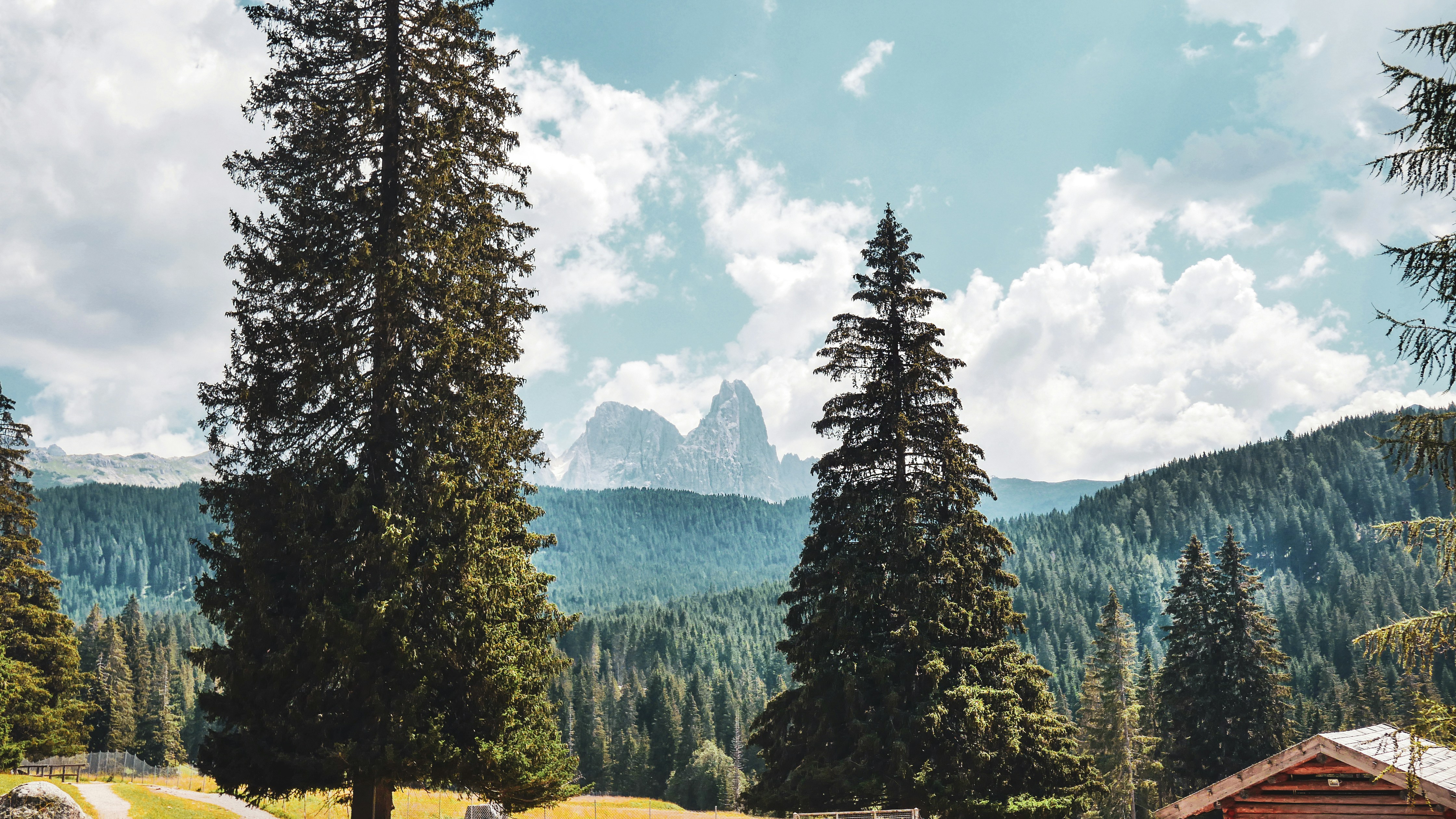 Majestic peaks of the Dolomites rise above a lush forest, framed by towering evergreens under a bright sky dotted with clouds.