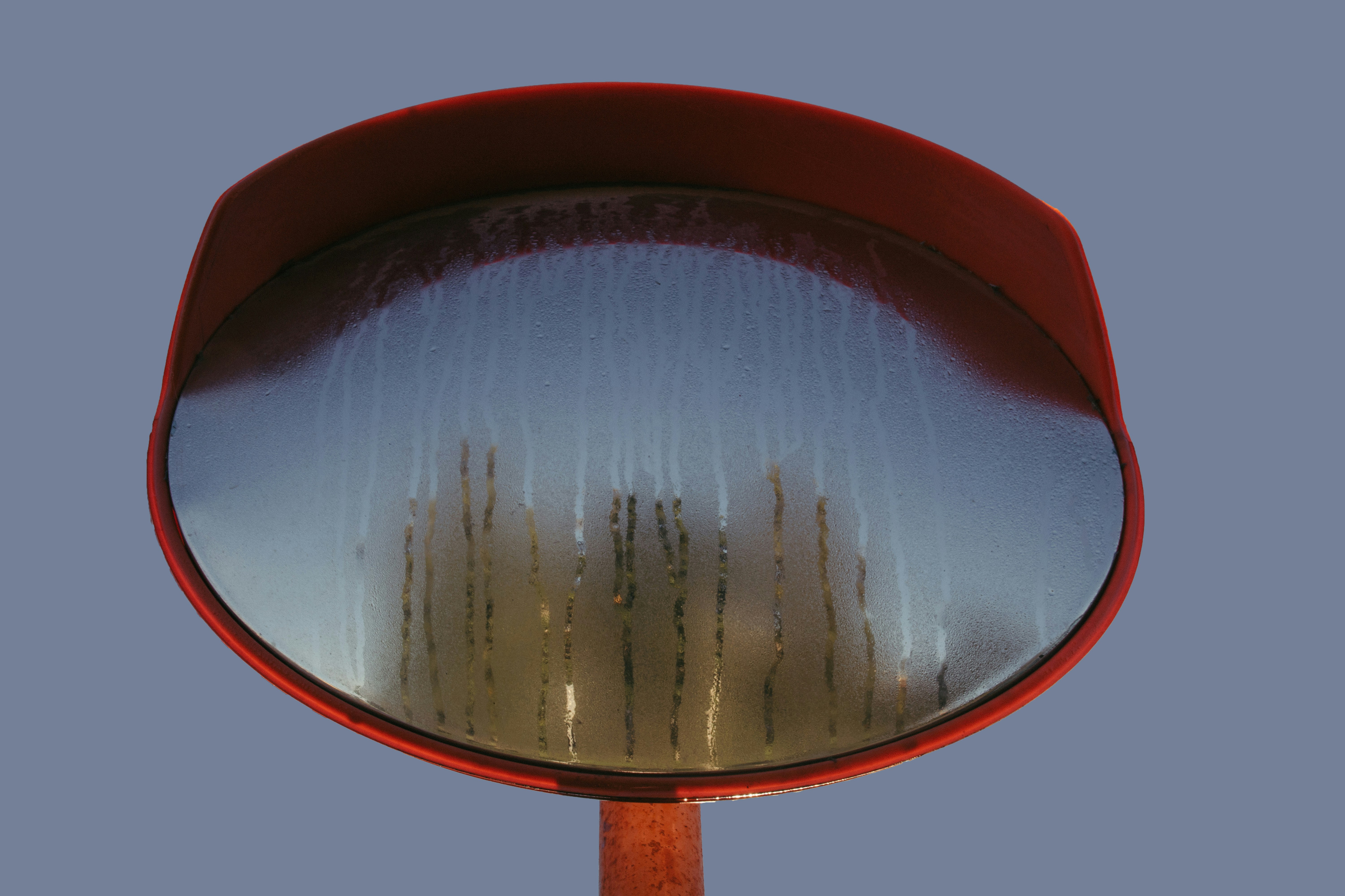 Dewy Reflections on Urban Mirror