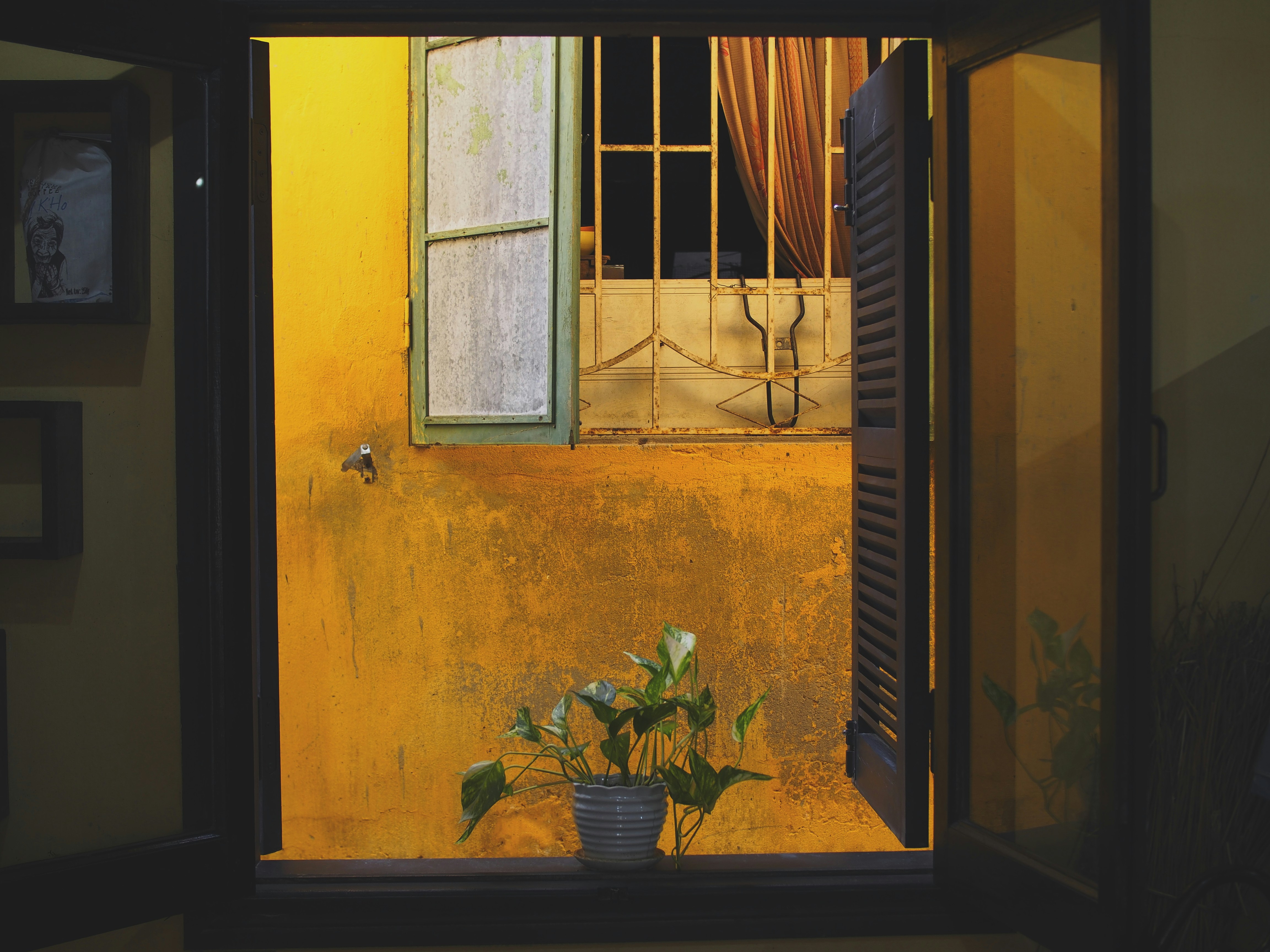 Green potted plant beside window photo – Free Hoi an Image on Unsplash