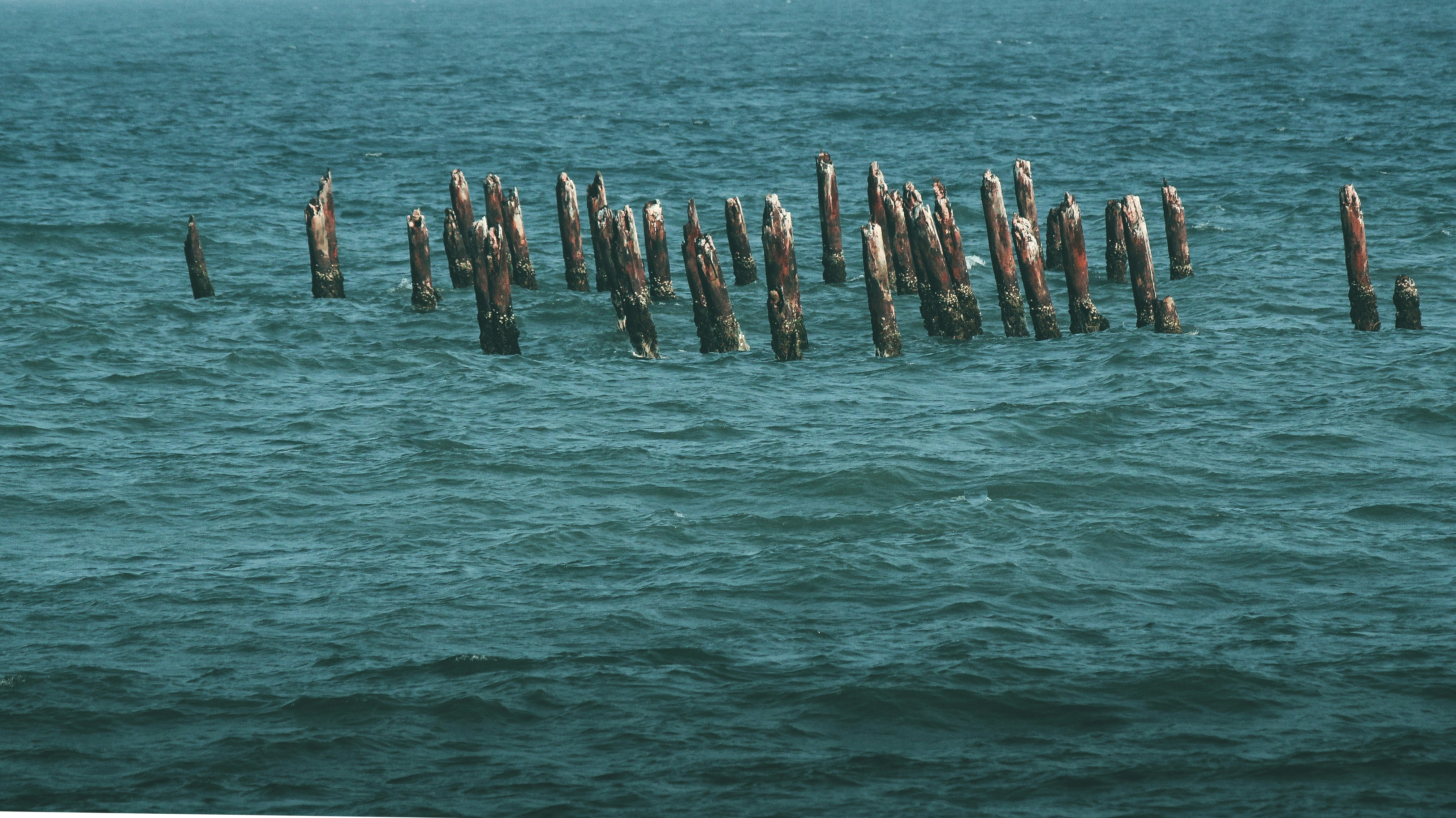 Turquoise Tide and Weathered Pilings: A Quiet Sea of Vertical Sentinels