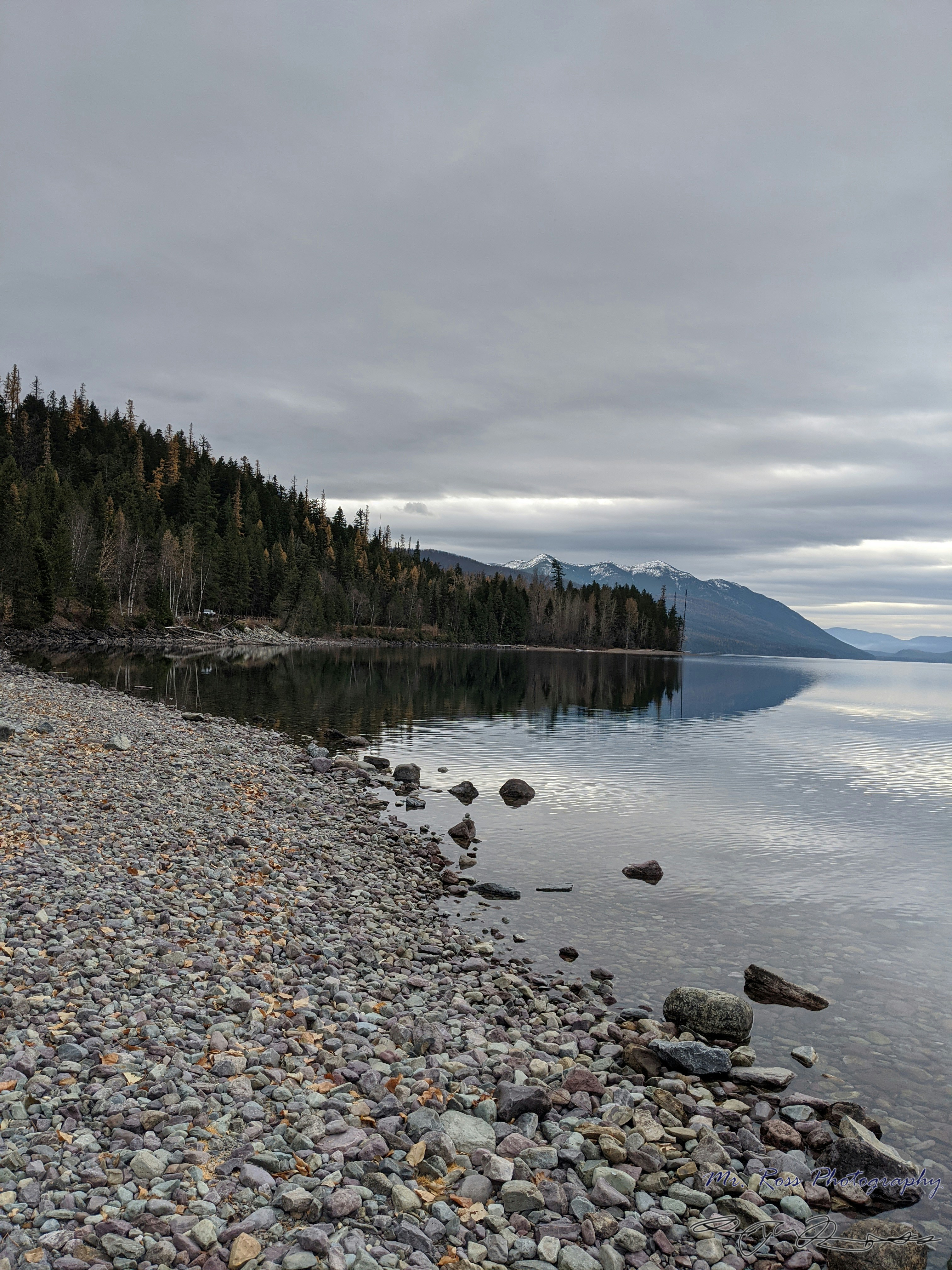 Serene lakeside view featuring a rocky shore and dense forest backdrop under a cloudy sky.