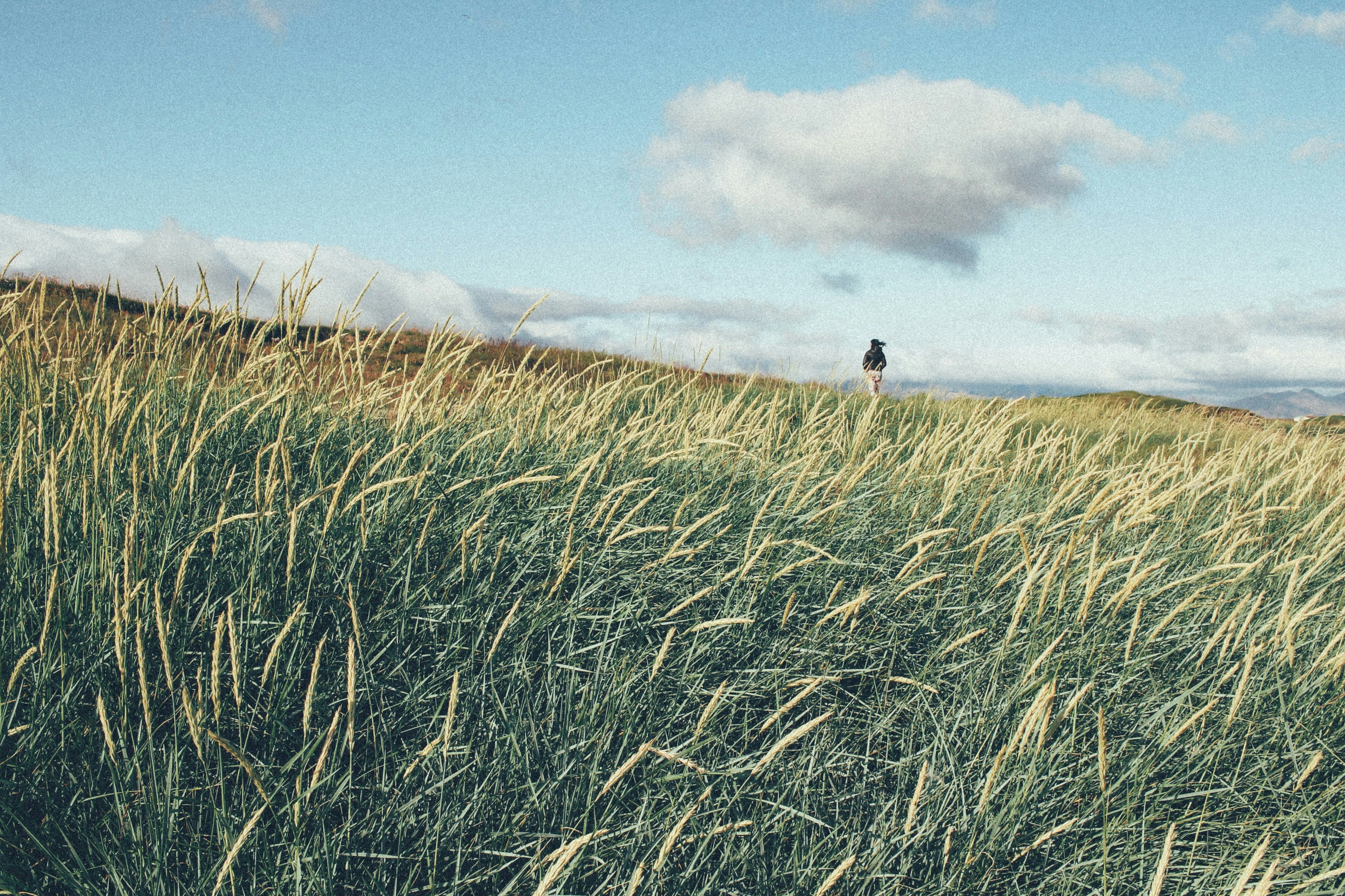A lone figure traverses a grassy hill under a vast sky, capturing the essence of solitude in nature.