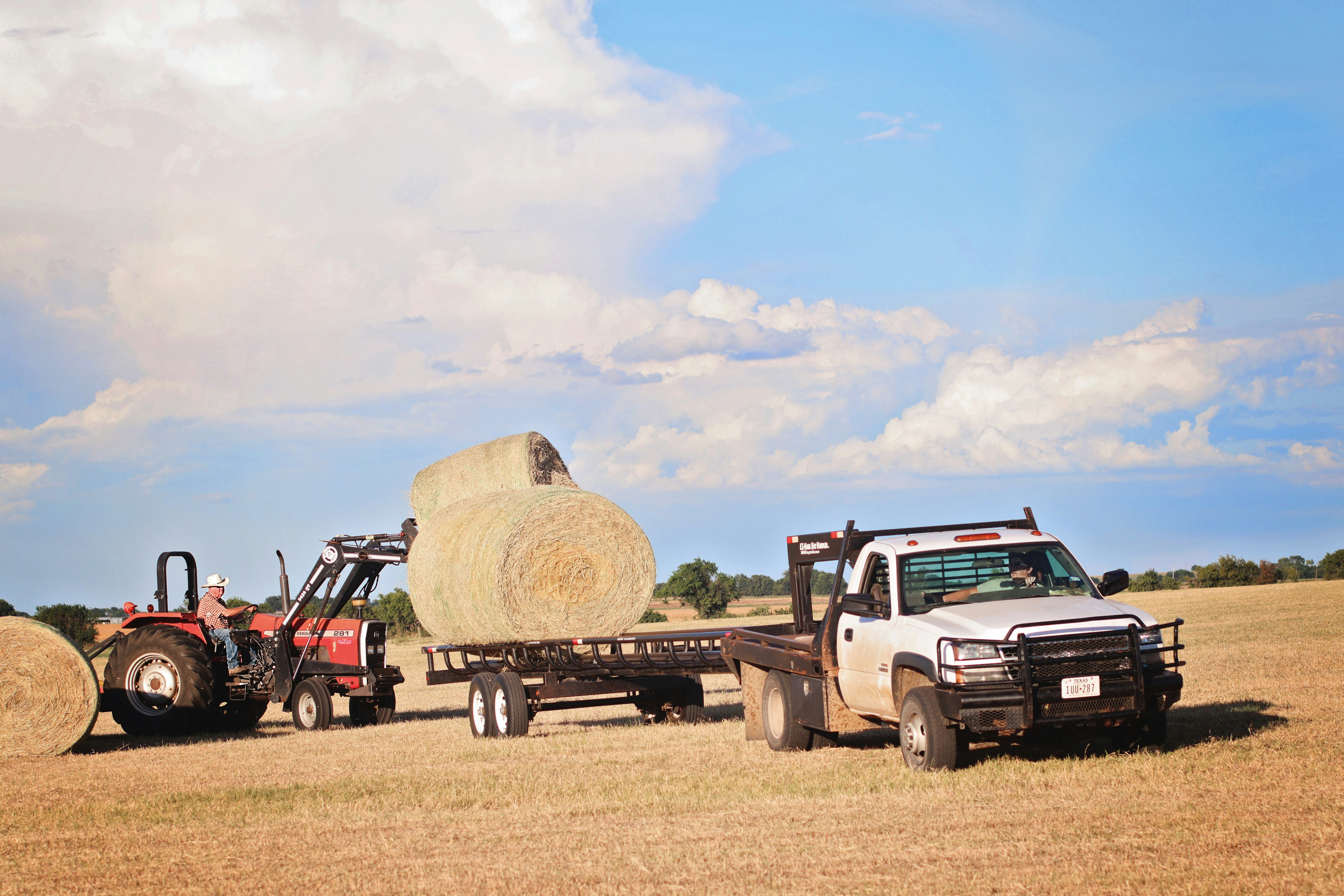 Harvesting Harmony: A Day on the Texas Plains