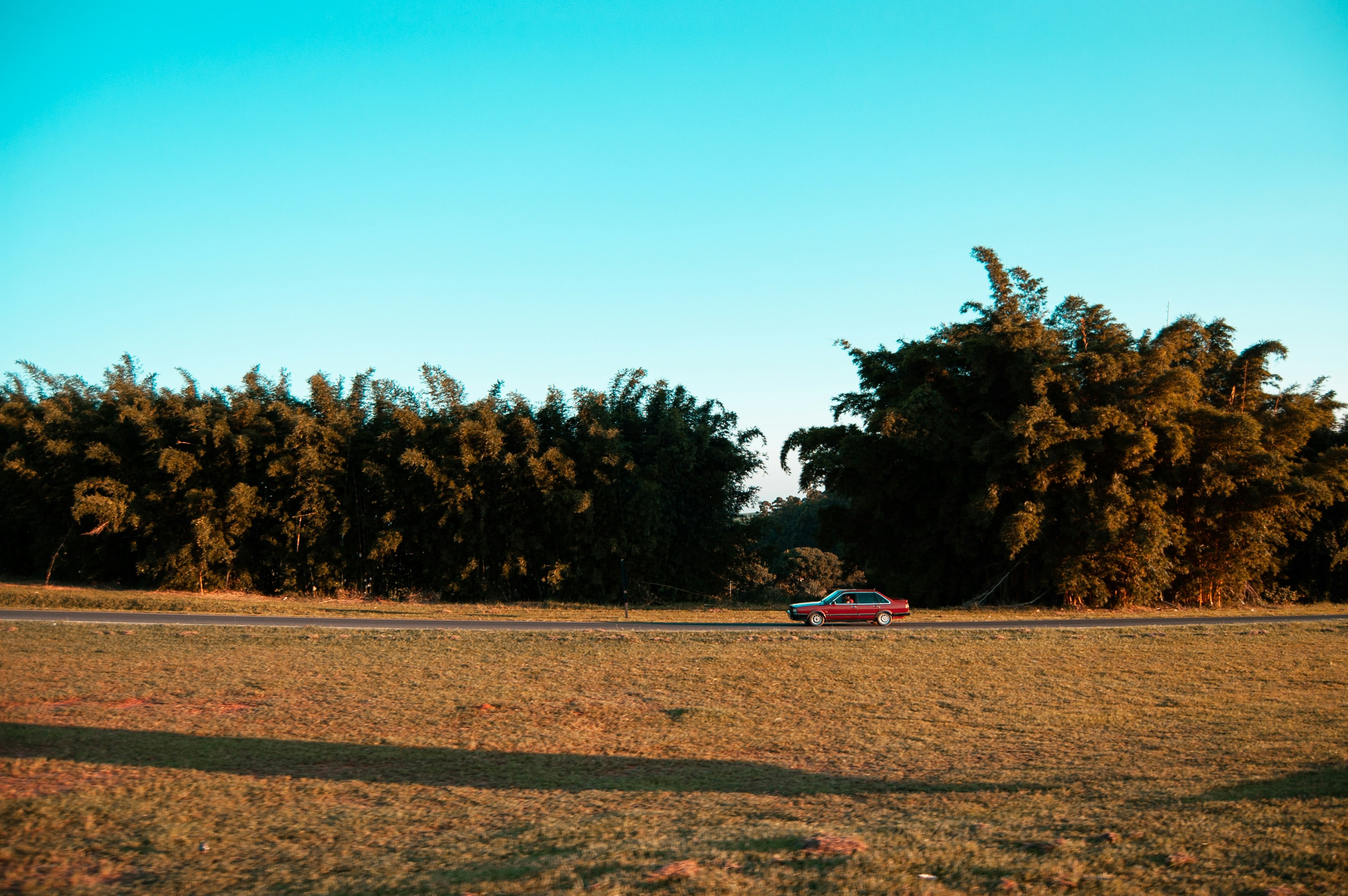 Classic red car traversing a rustic road bordered by lush green trees under a clear blue sky.