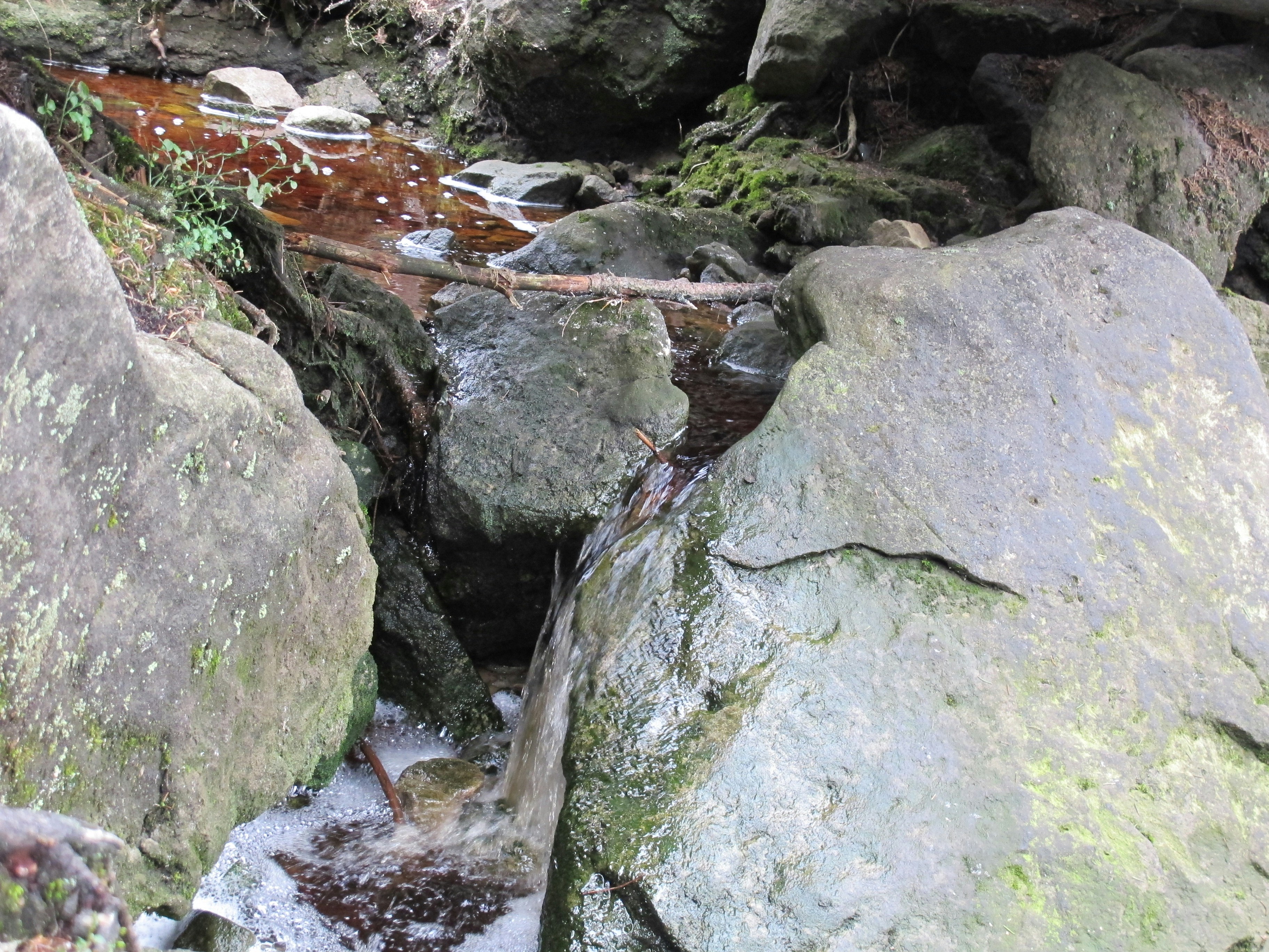 Brook, Stream in the Forest | 6 best free stream, plant, outdoor and ...