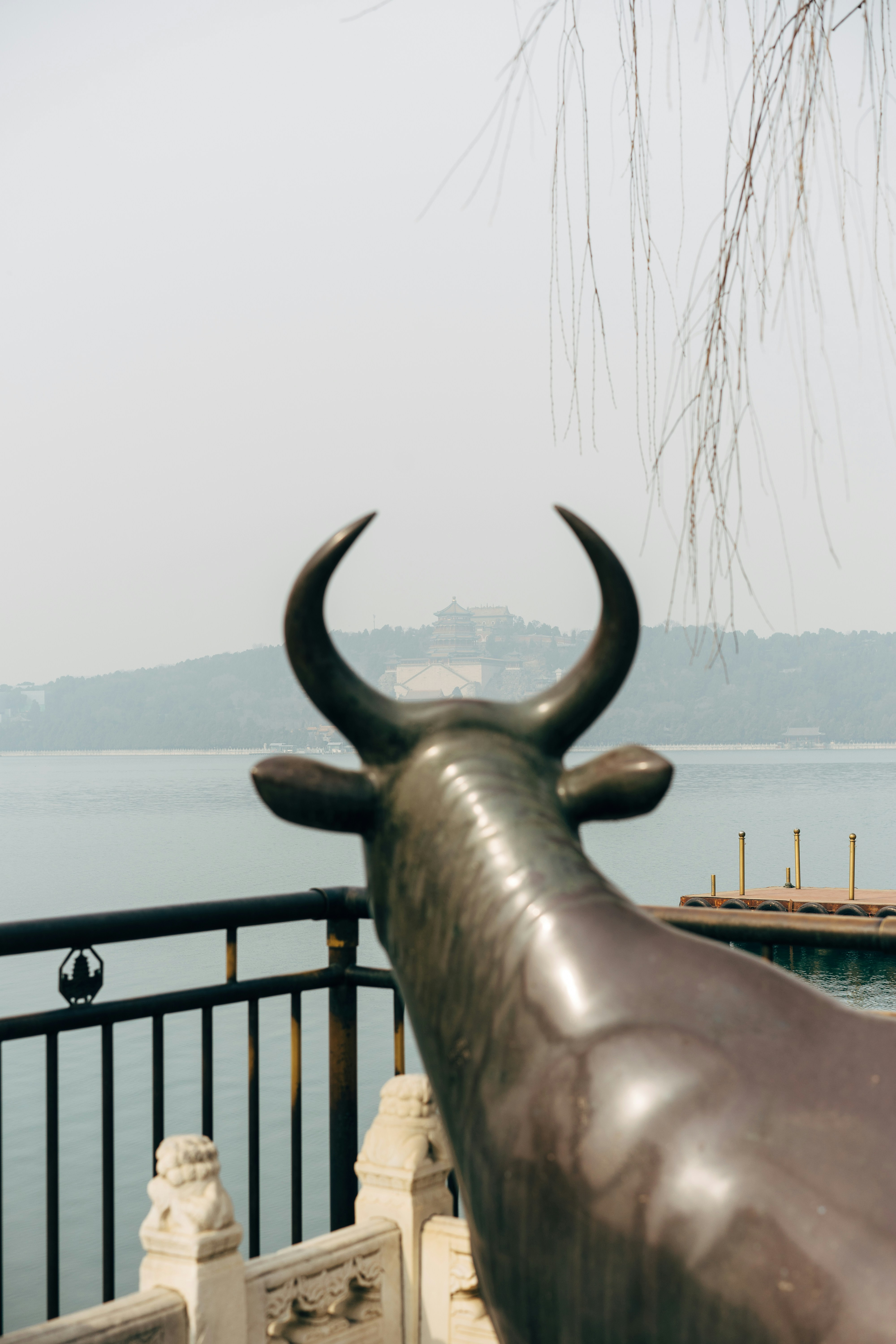 Bull in a China Shop? - Shyam Devani