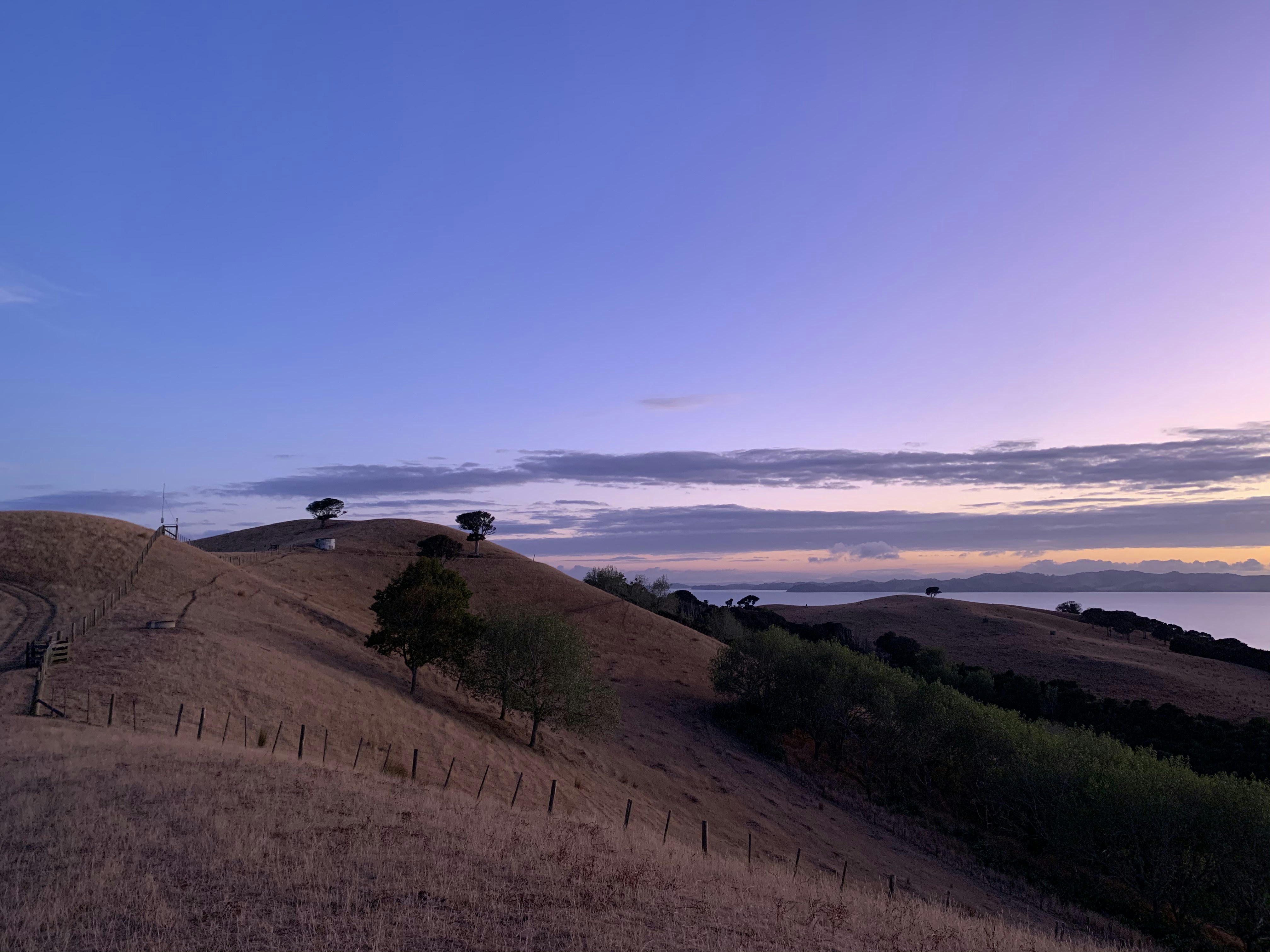 Gently sloping hills under a vivid twilight sky with distant trees silhouetted against the horizon.