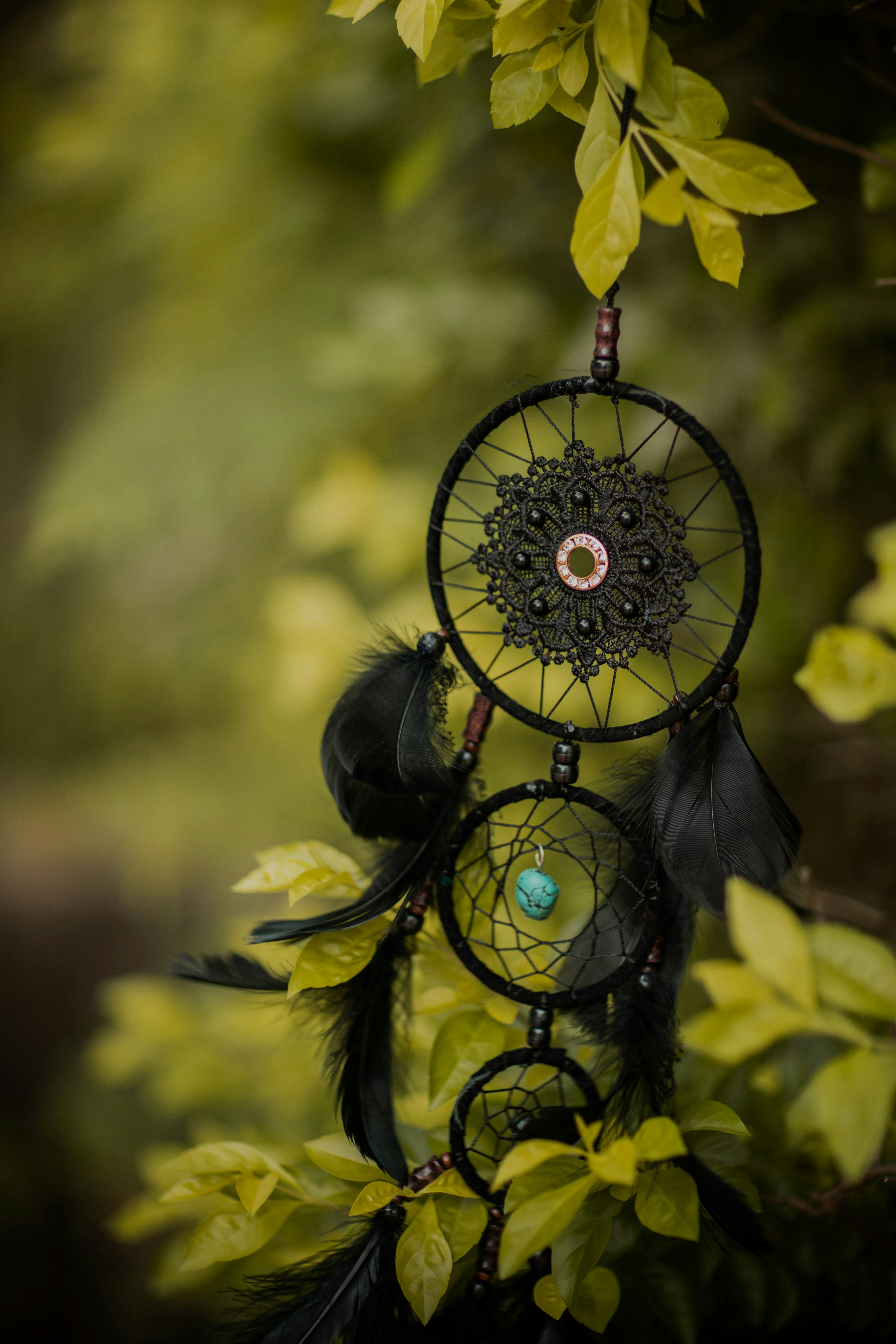 Intricate dreamcatcher adorned with feathers and turquoise, gently swaying among vibrant green leaves.