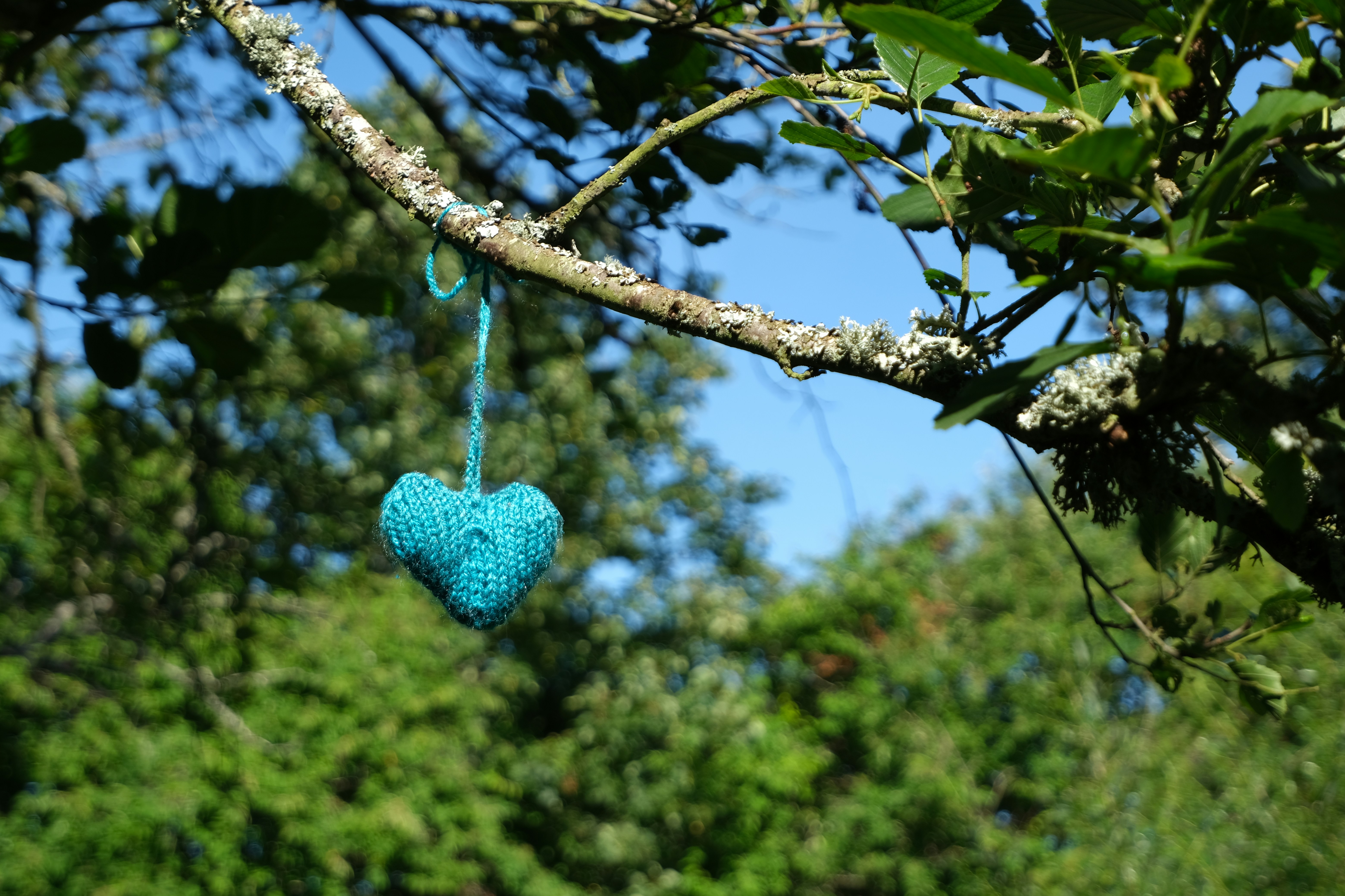 Blue Heart on a Branch: a sunny moment of whimsy