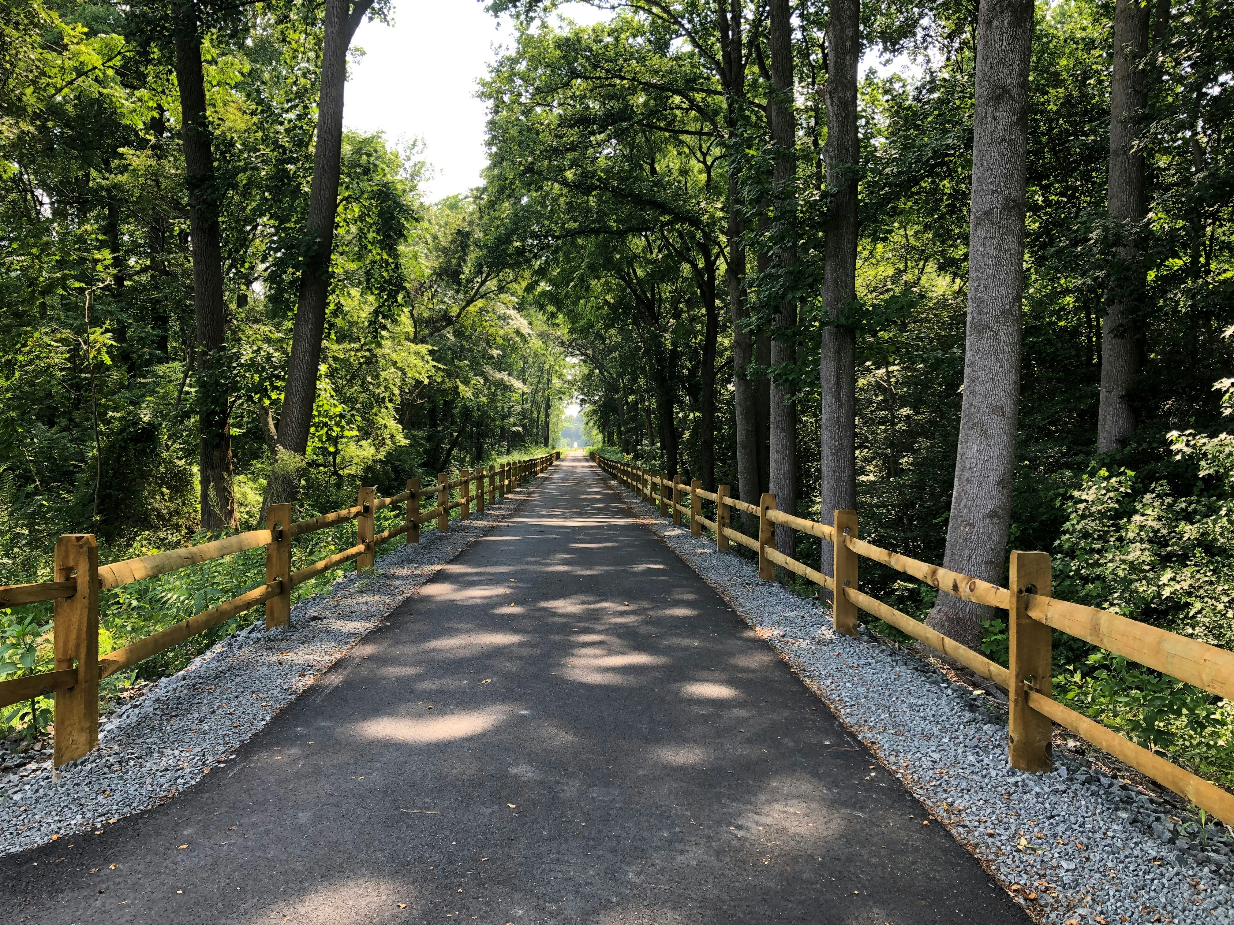 Gray concrete pathway between green trees during daytime photo – Free ...