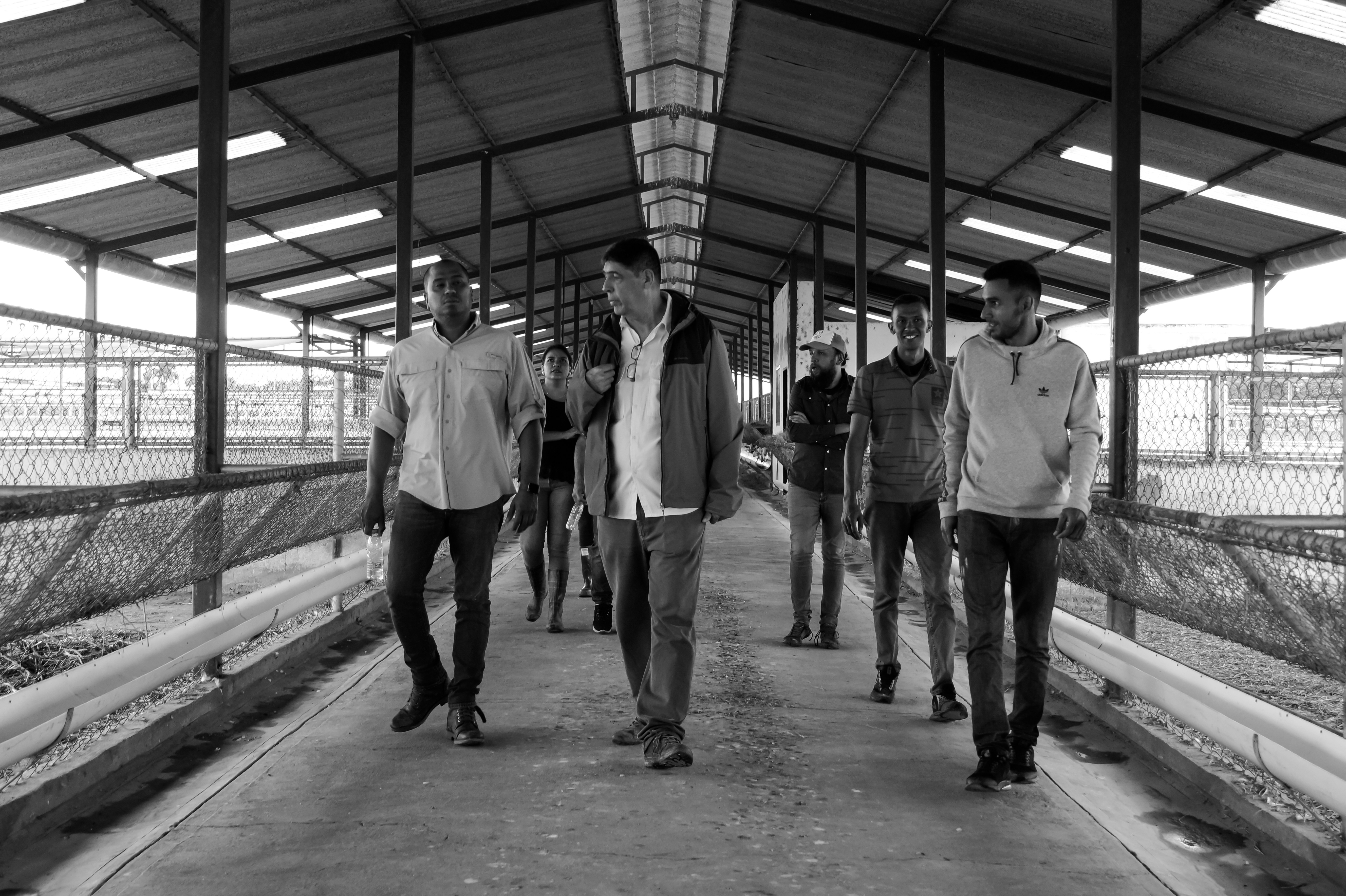 Group of men walking through an industrial covered walkway in black and white.