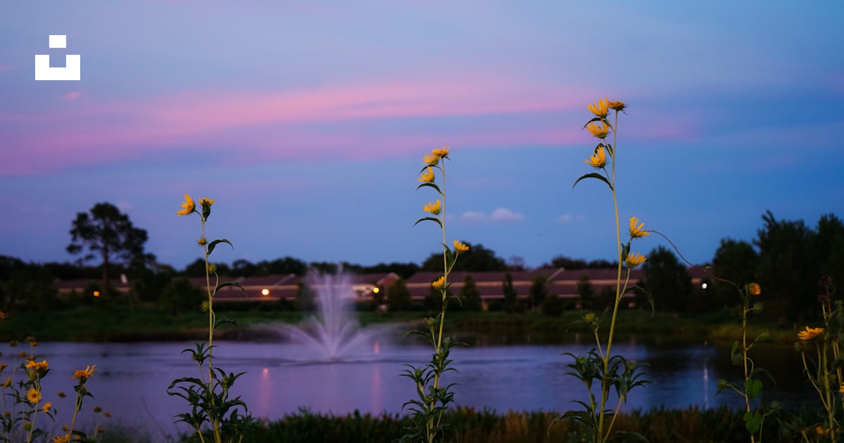 Green Grass Near Body Of Water During Sunset Photo Free United States