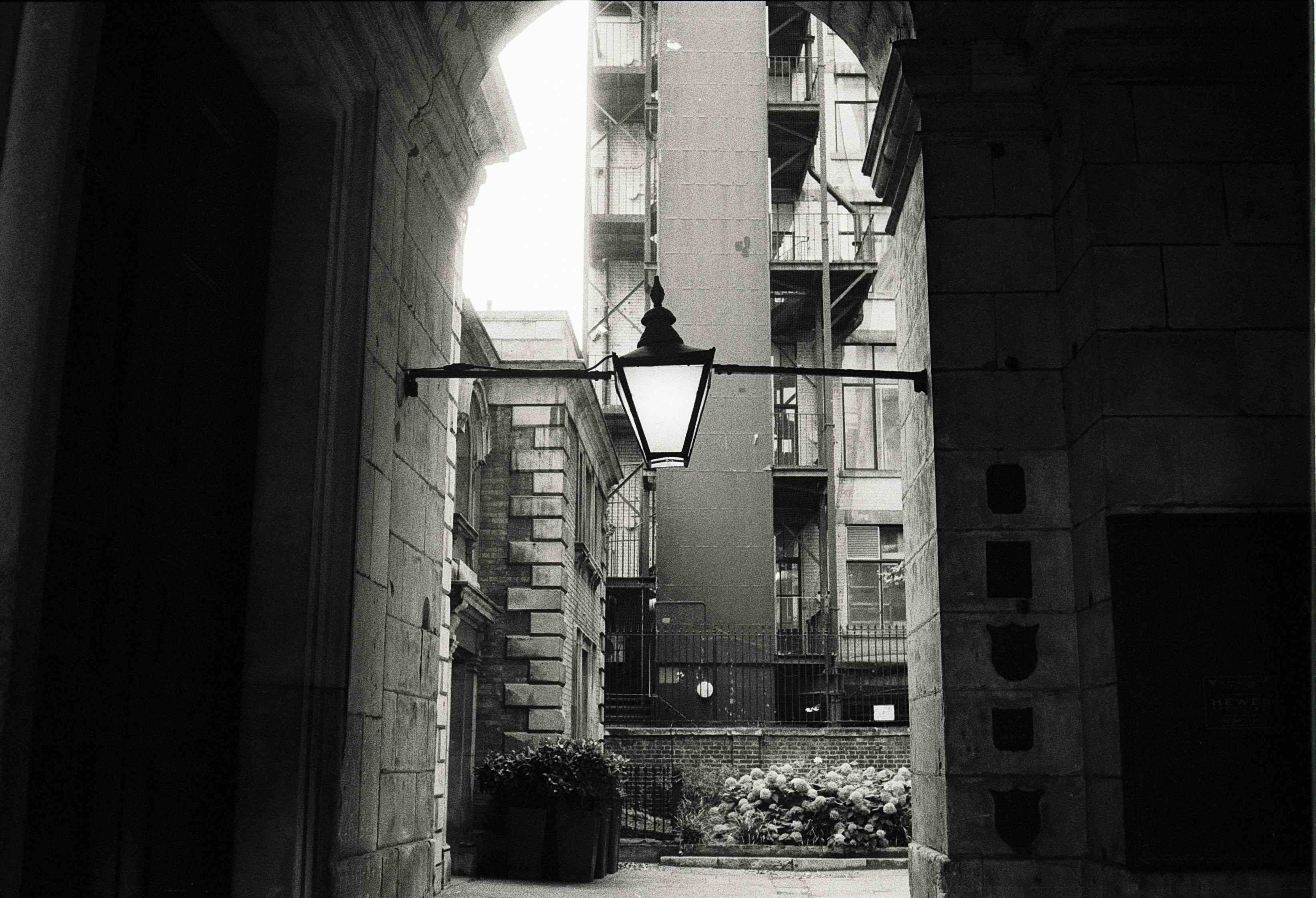 Echoes of Urban Contrast