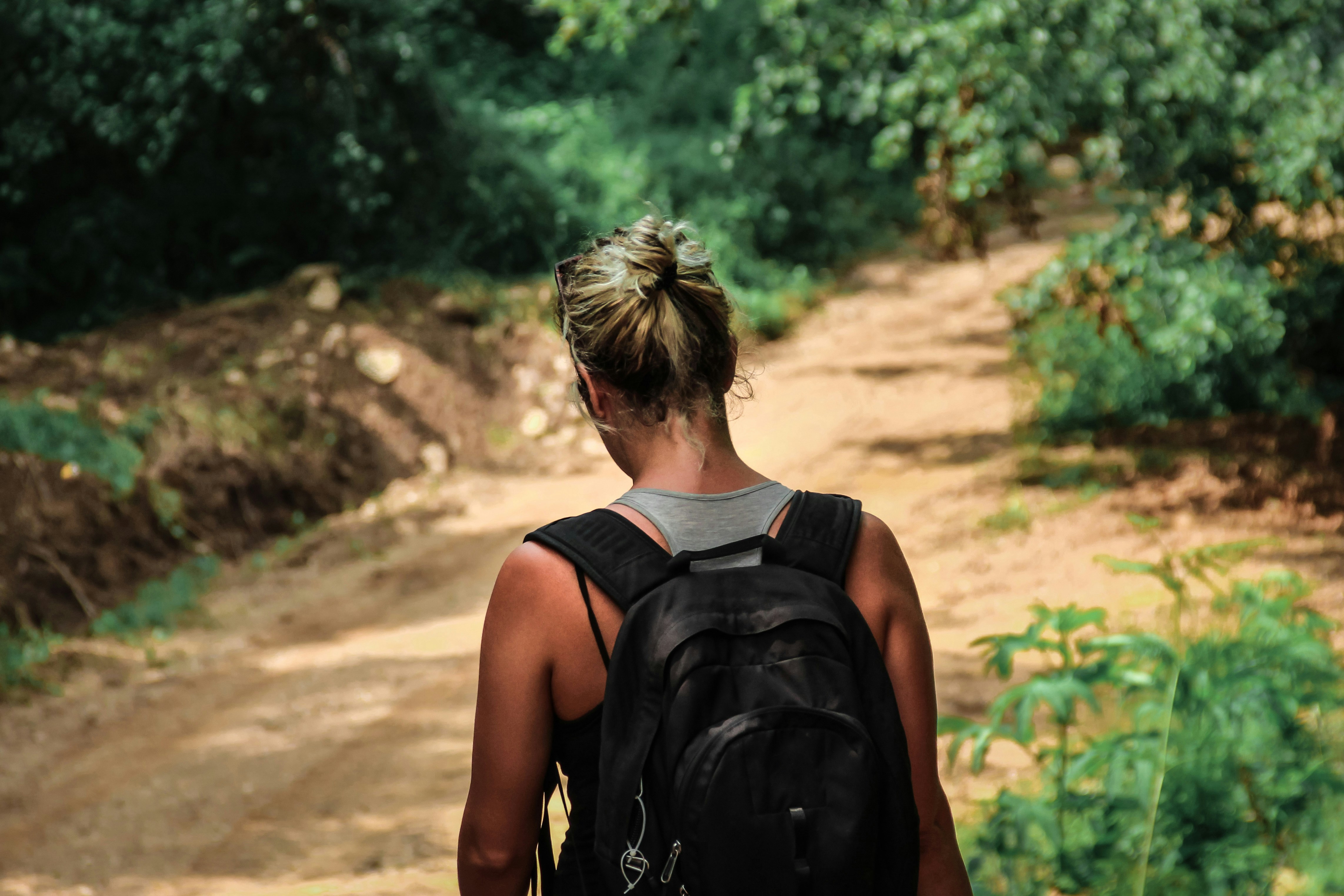 A hiker walking along a sun-drenched trail, surrounded by lush greenery, with a focus on the journey ahead.