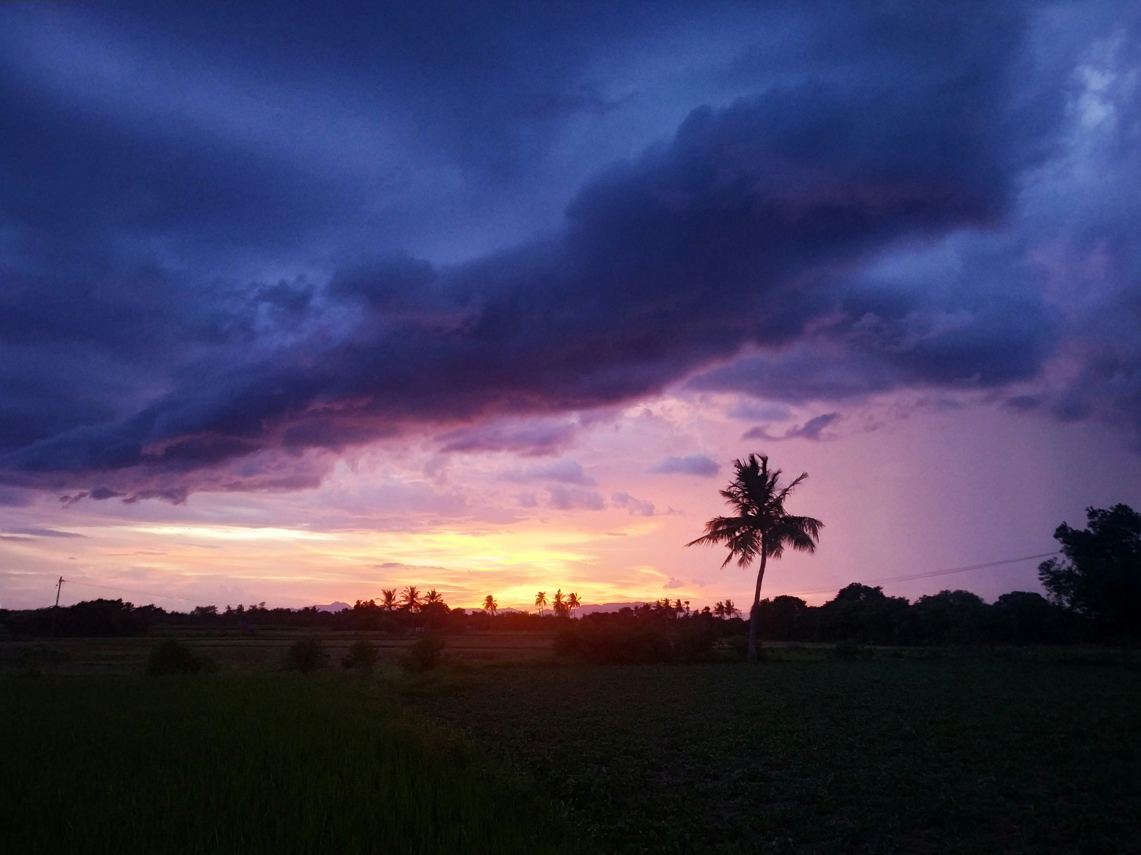 Vibrant sunset hues peek through dramatic clouds above a solitary palm tree silhouette.
