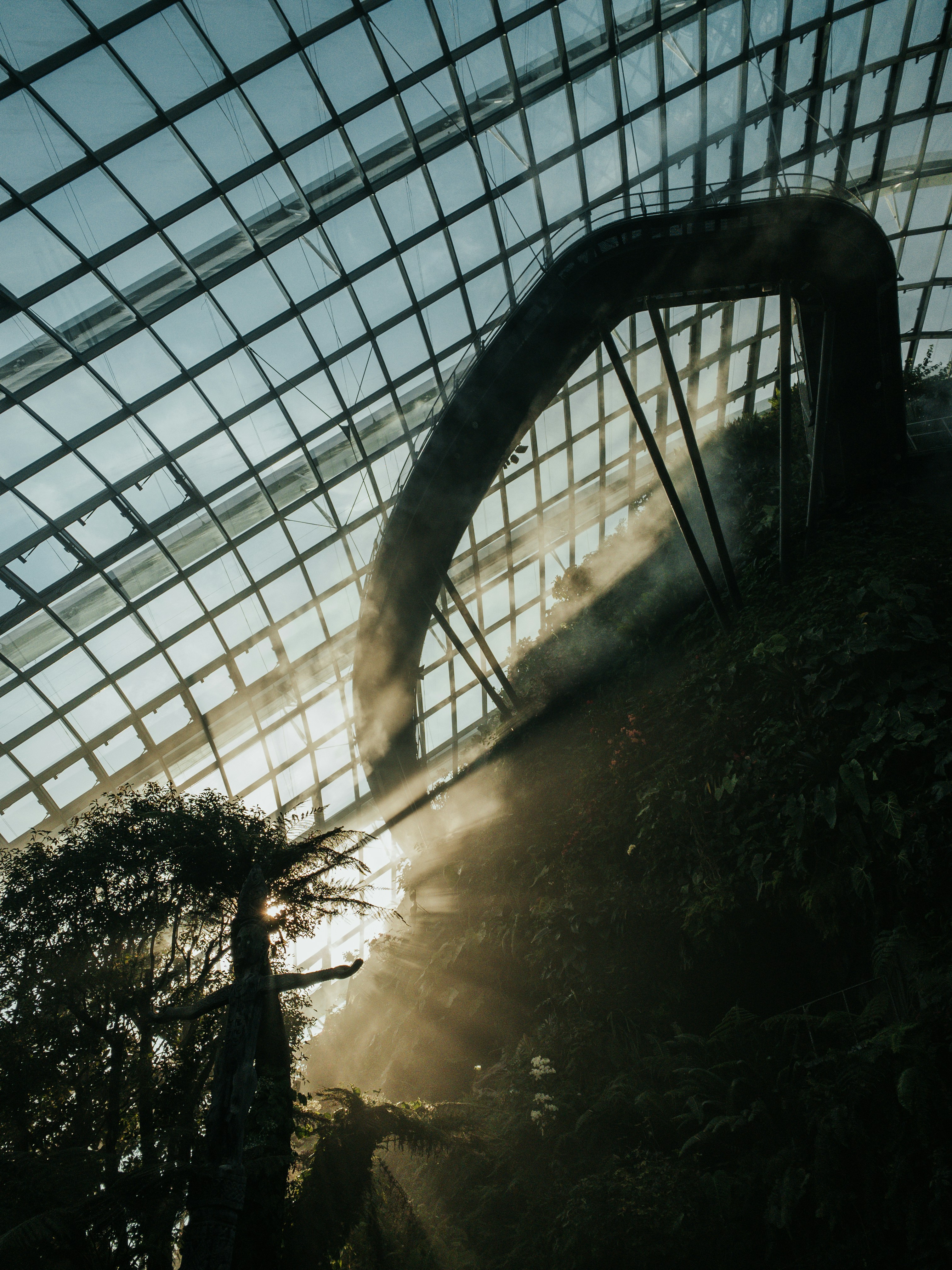 Sunlight streams through a glass structure, illuminating lush greenery and creating a mystical atmosphere.