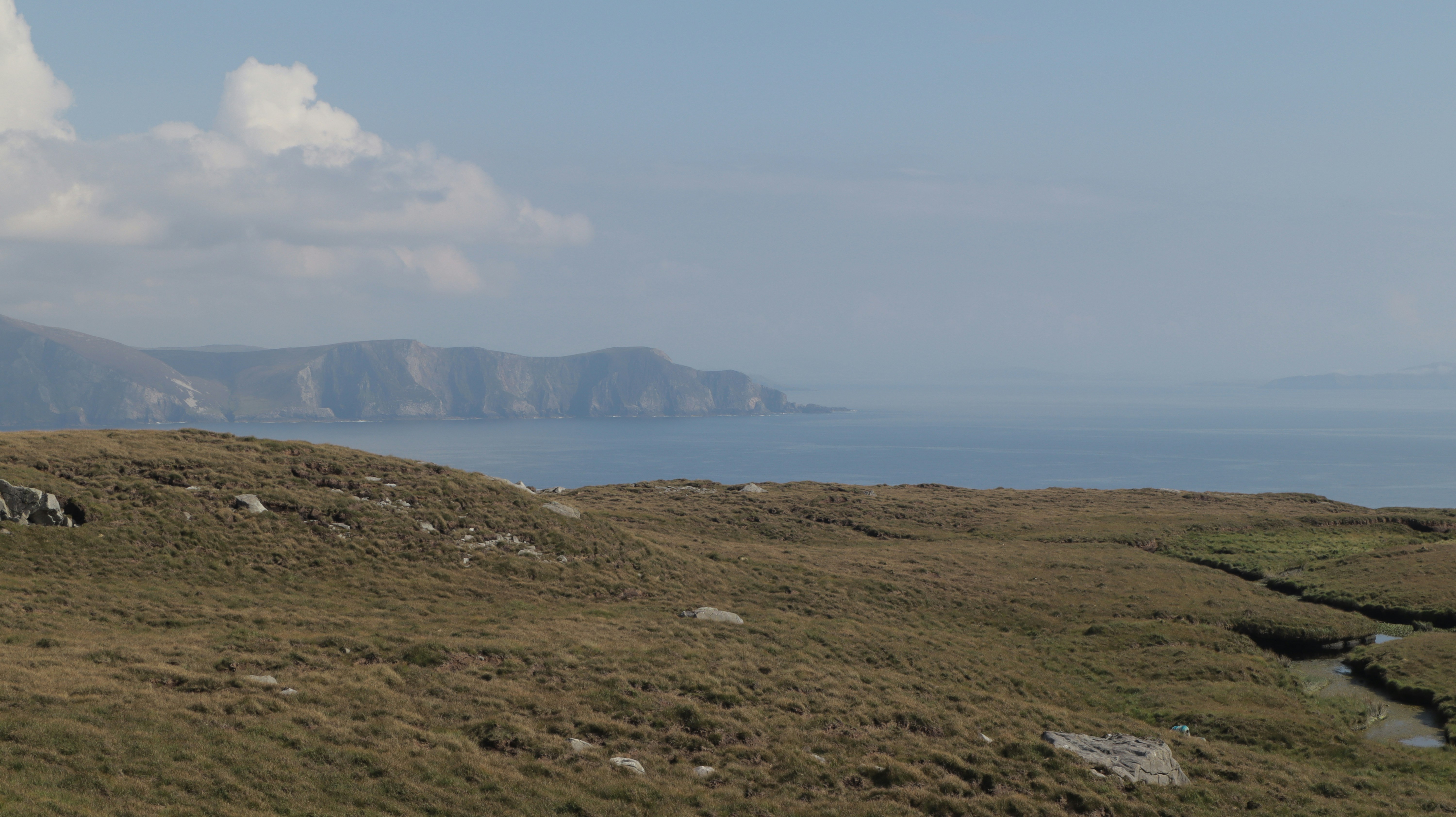 Horizon Ridge: Moorland Meets the Quiet Sea