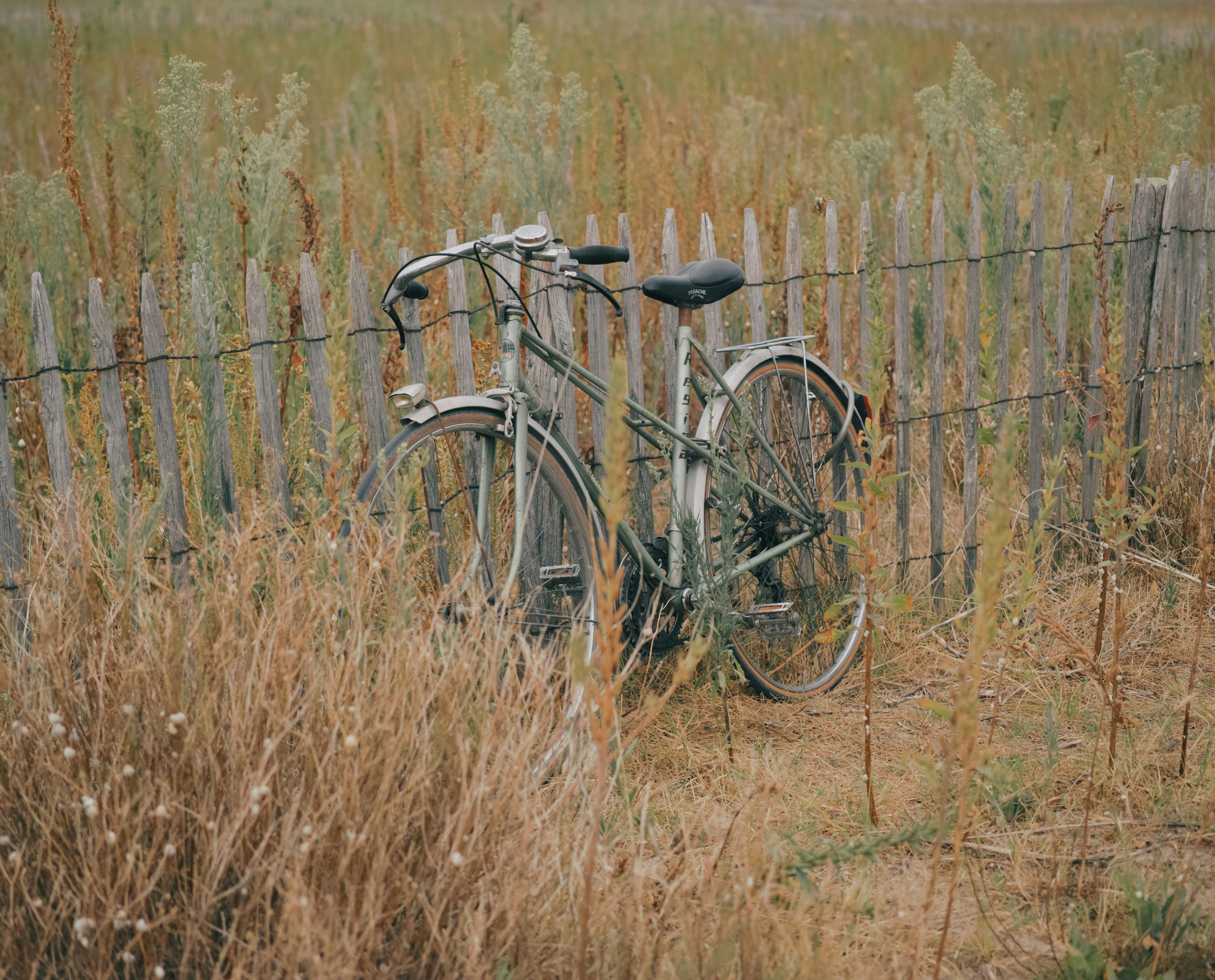 A vintage bicycle rests against a rustic fence, surrounded by tall grass and wildflowers, evoking a sense of nostalgia and abandonment.