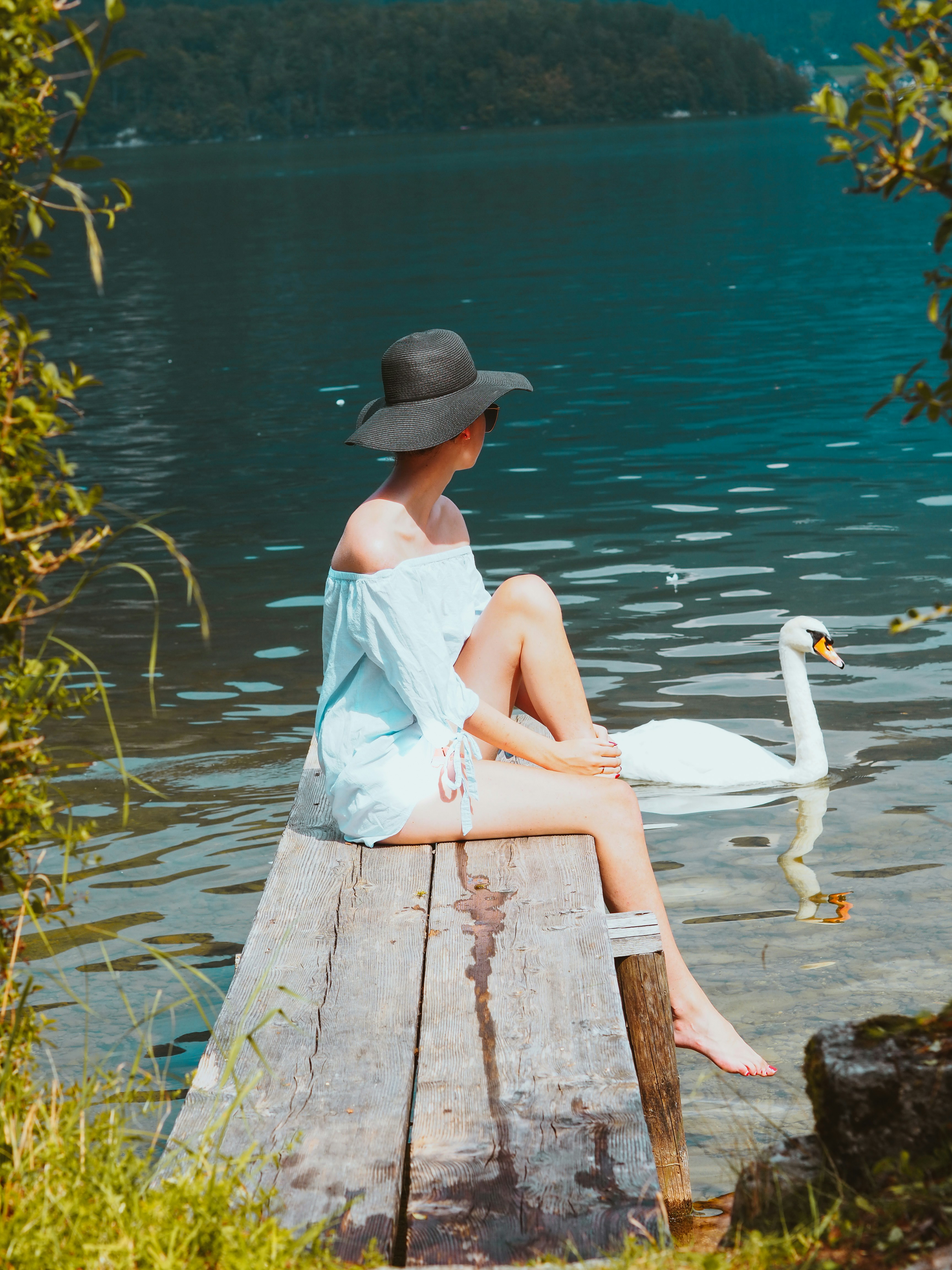 Lone sitter on a weathered dock, watching a swan drift by