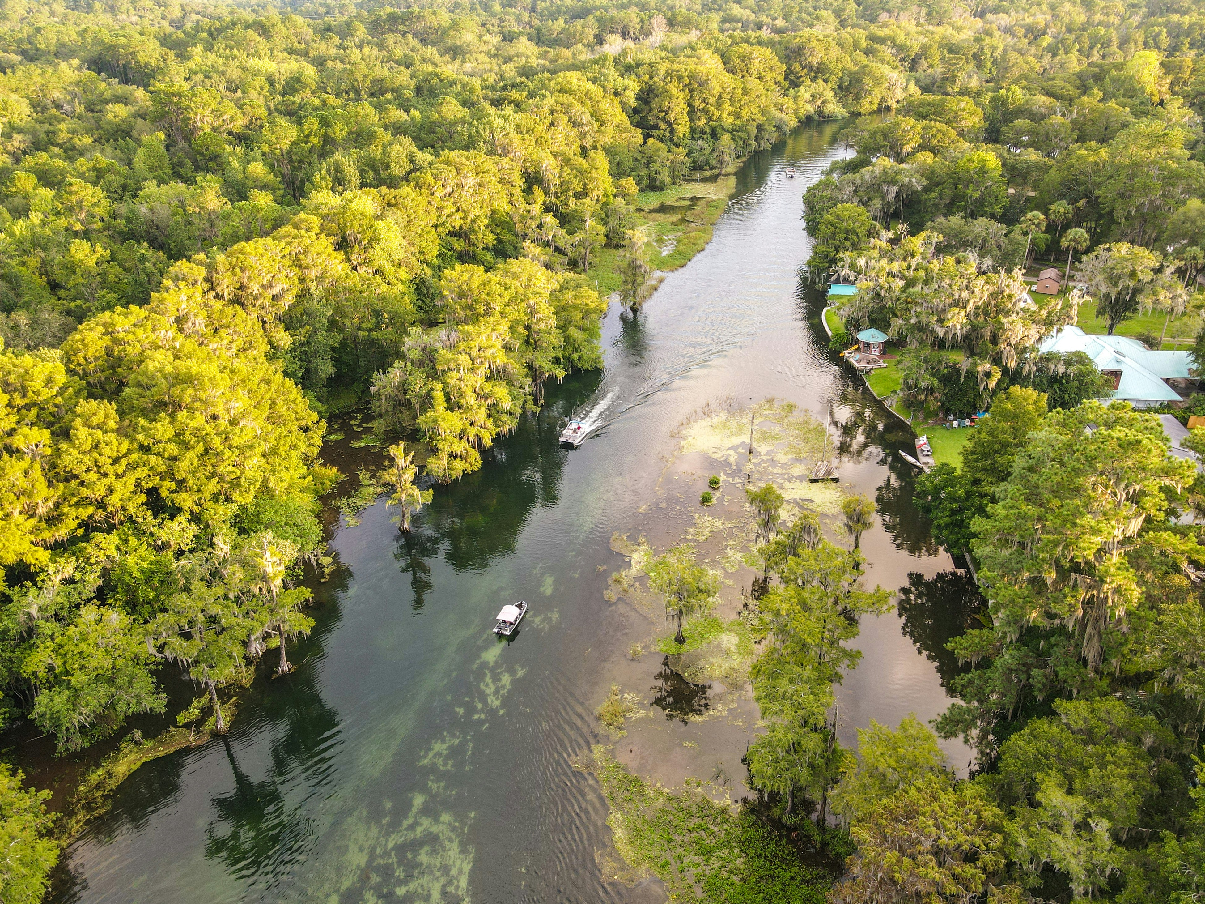 Aerial view of green trees and river during daytime photo – Free Three ...