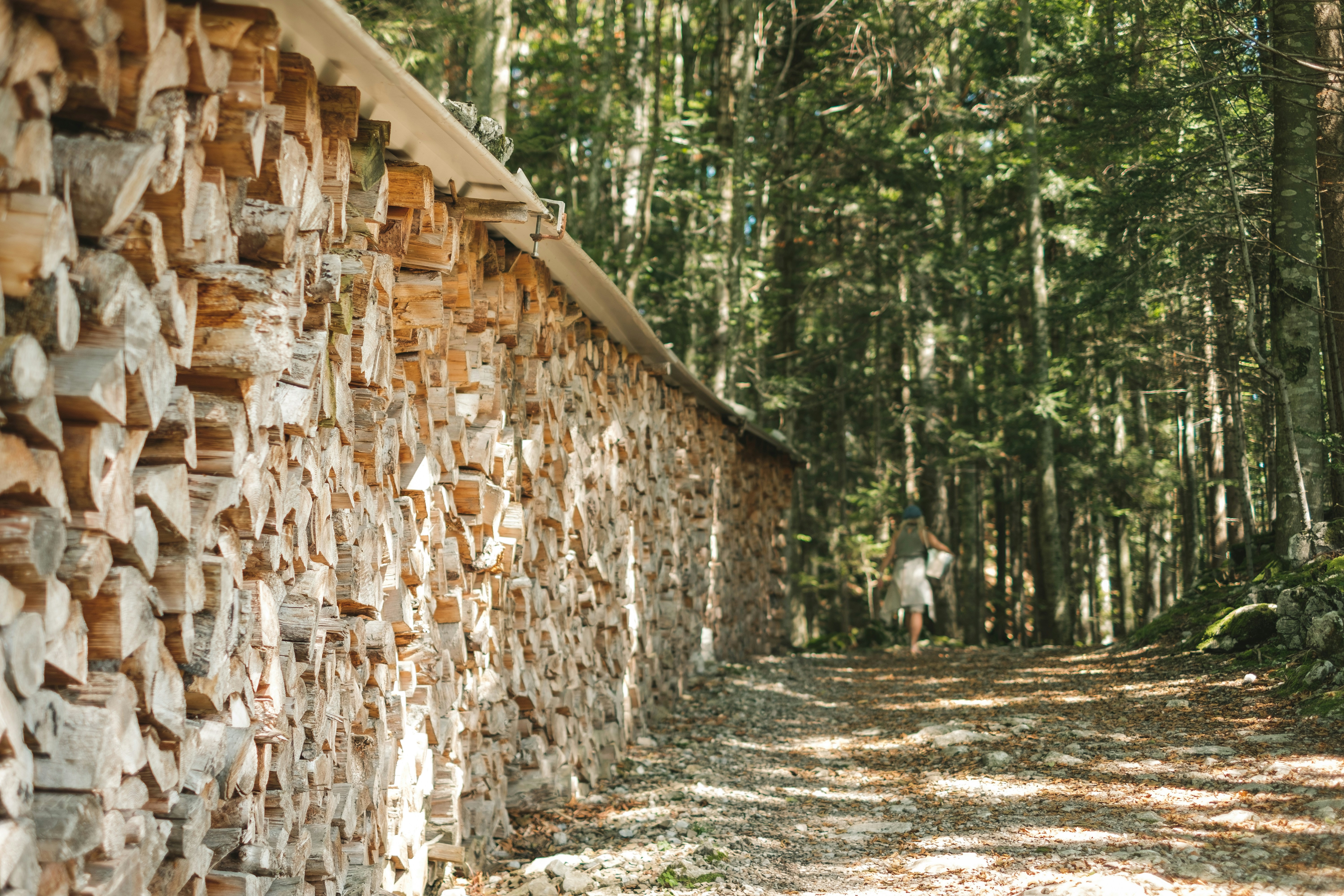 Wooden logs neatly stacked along a forest trail, inviting exploration amidst lush greenery.