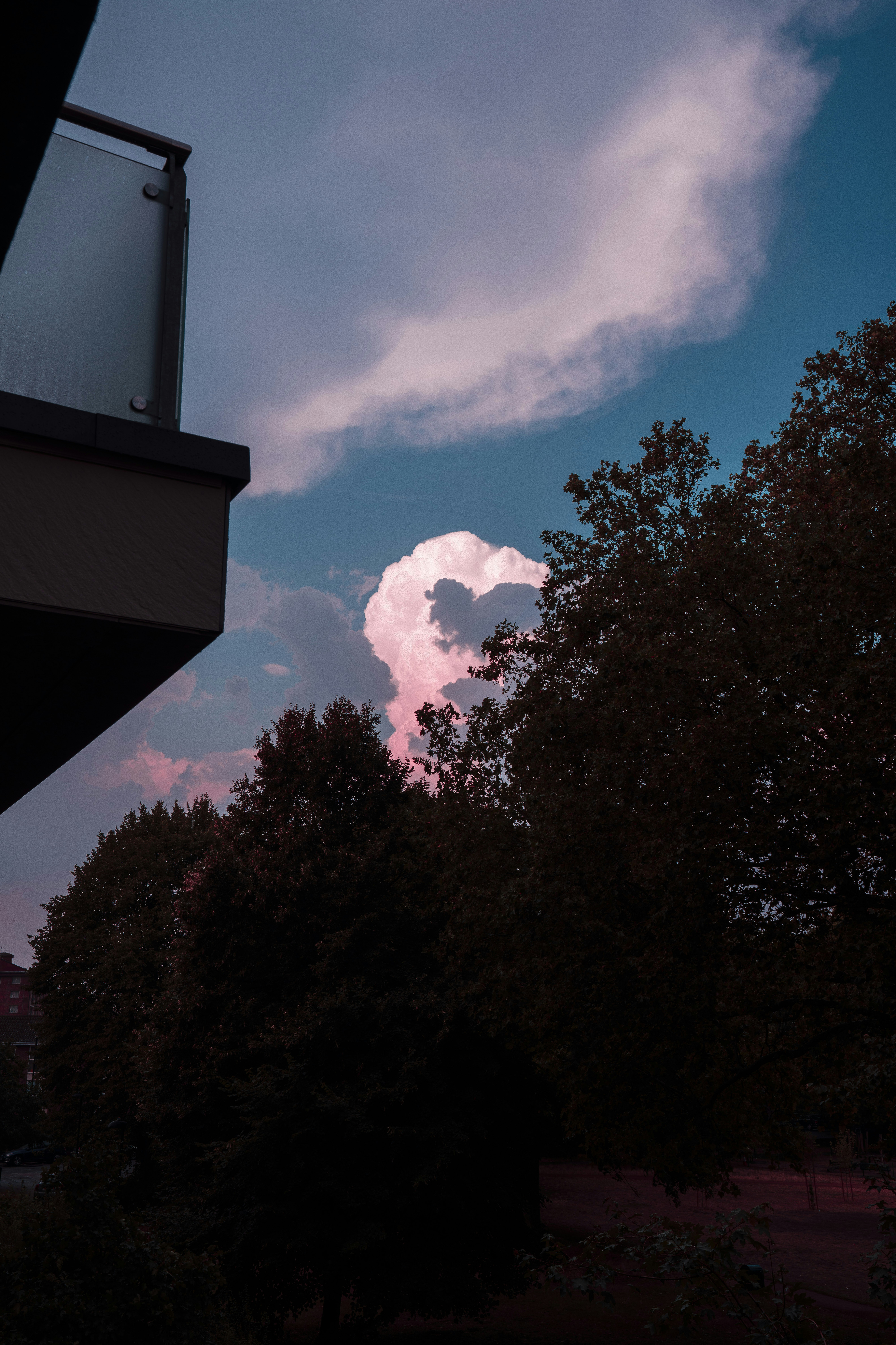Pink Cloud Crown Above Darkened Trees by a Building Edge