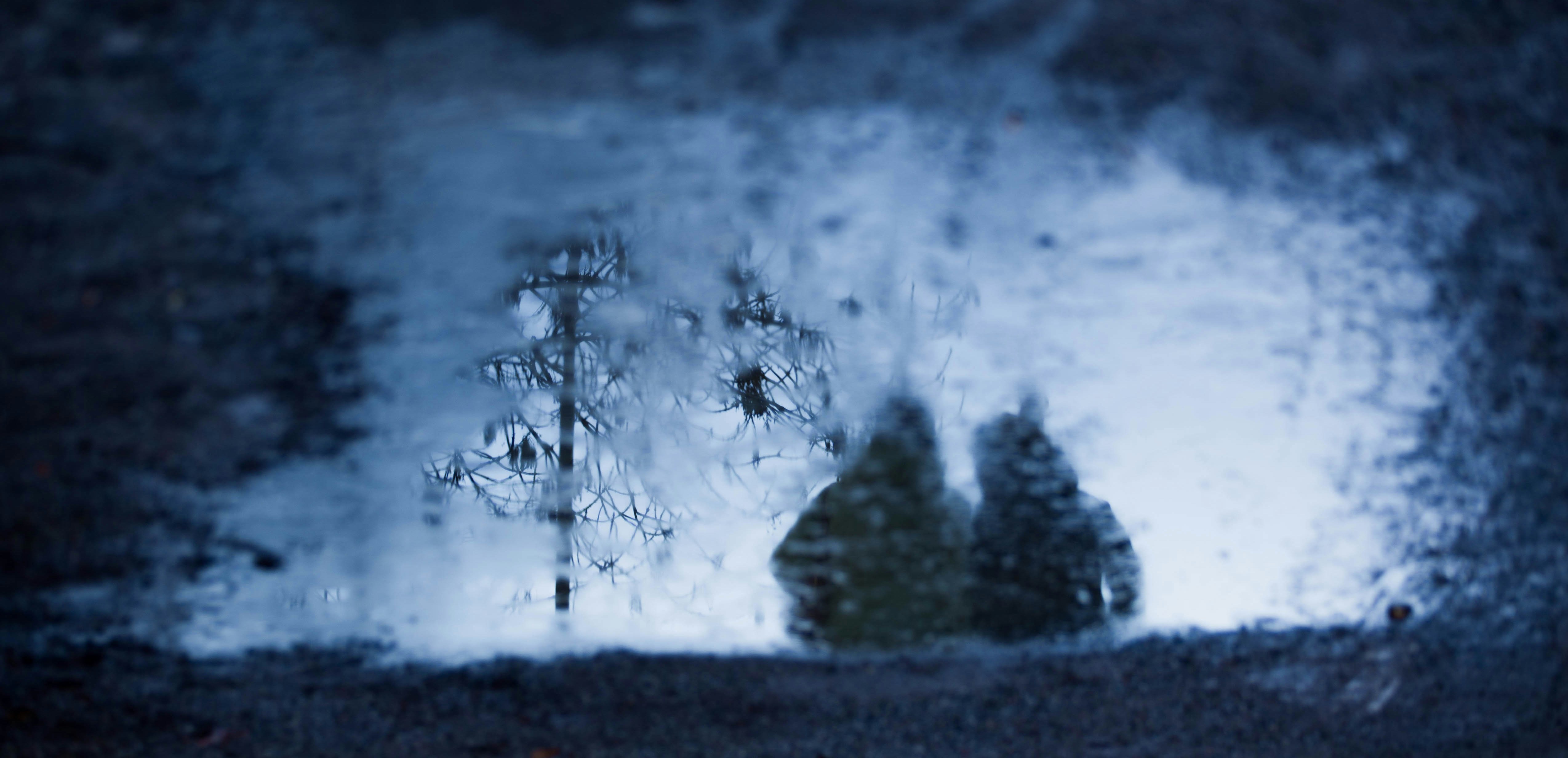 A serene puddle reflecting silhouetted trees and figures, capturing a moment of quiet contemplation in nature.