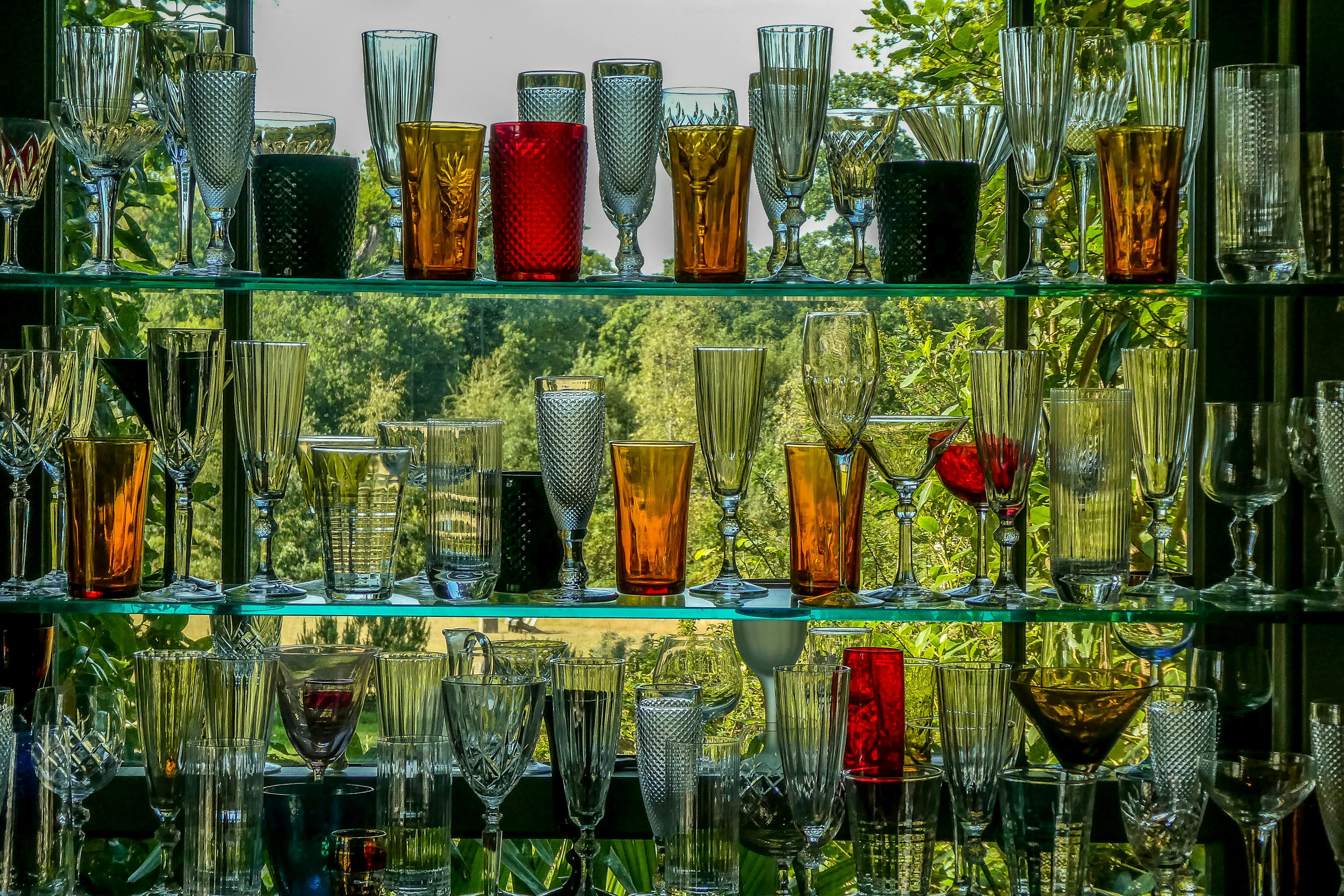 A vibrant collection of glassware arranged on shelves, showcasing various shapes and colors against a backdrop of greenery.