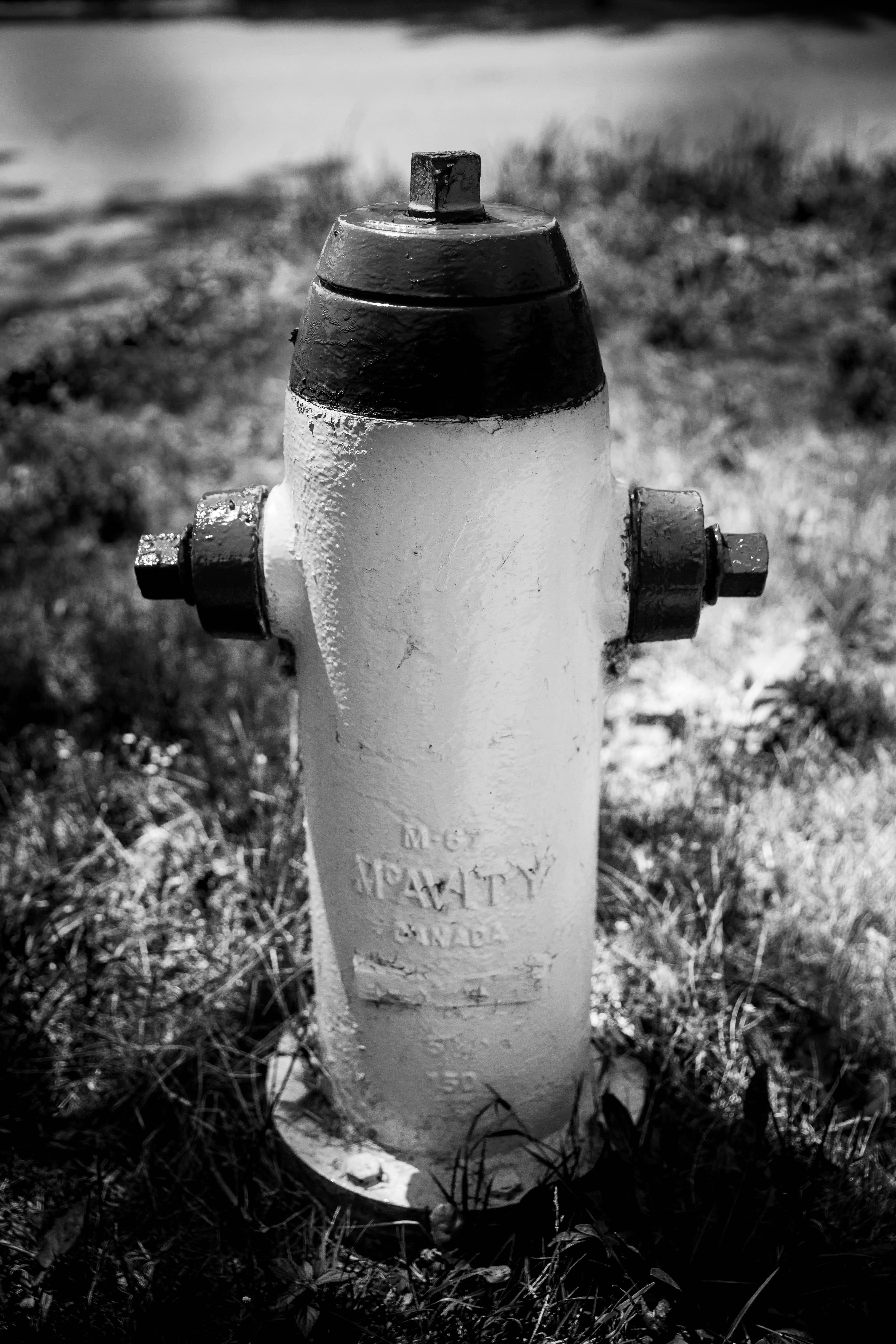 grayscale photo of black and white binoculars