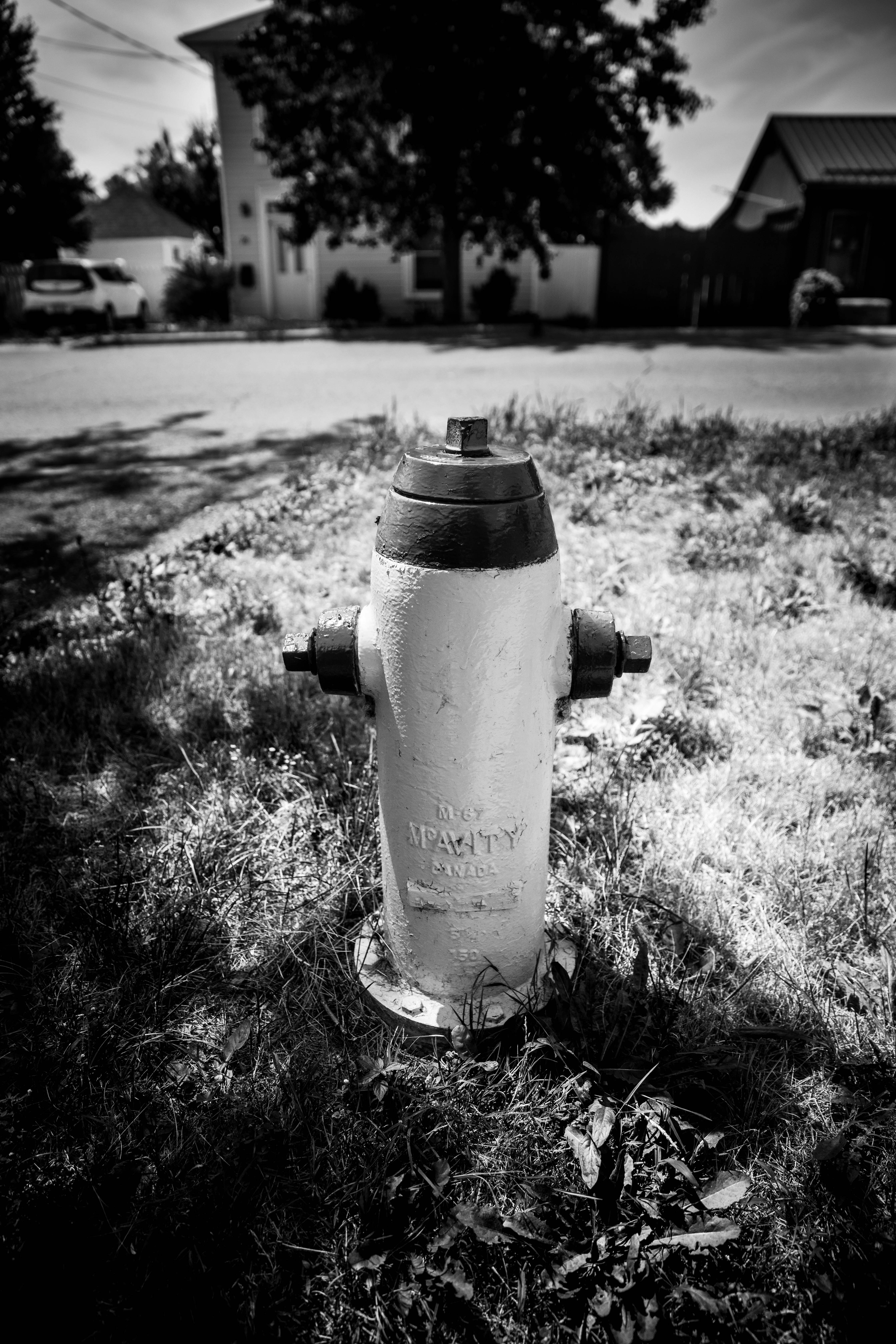 Grey Sentinel: solitary hydrant in a sunlit suburb