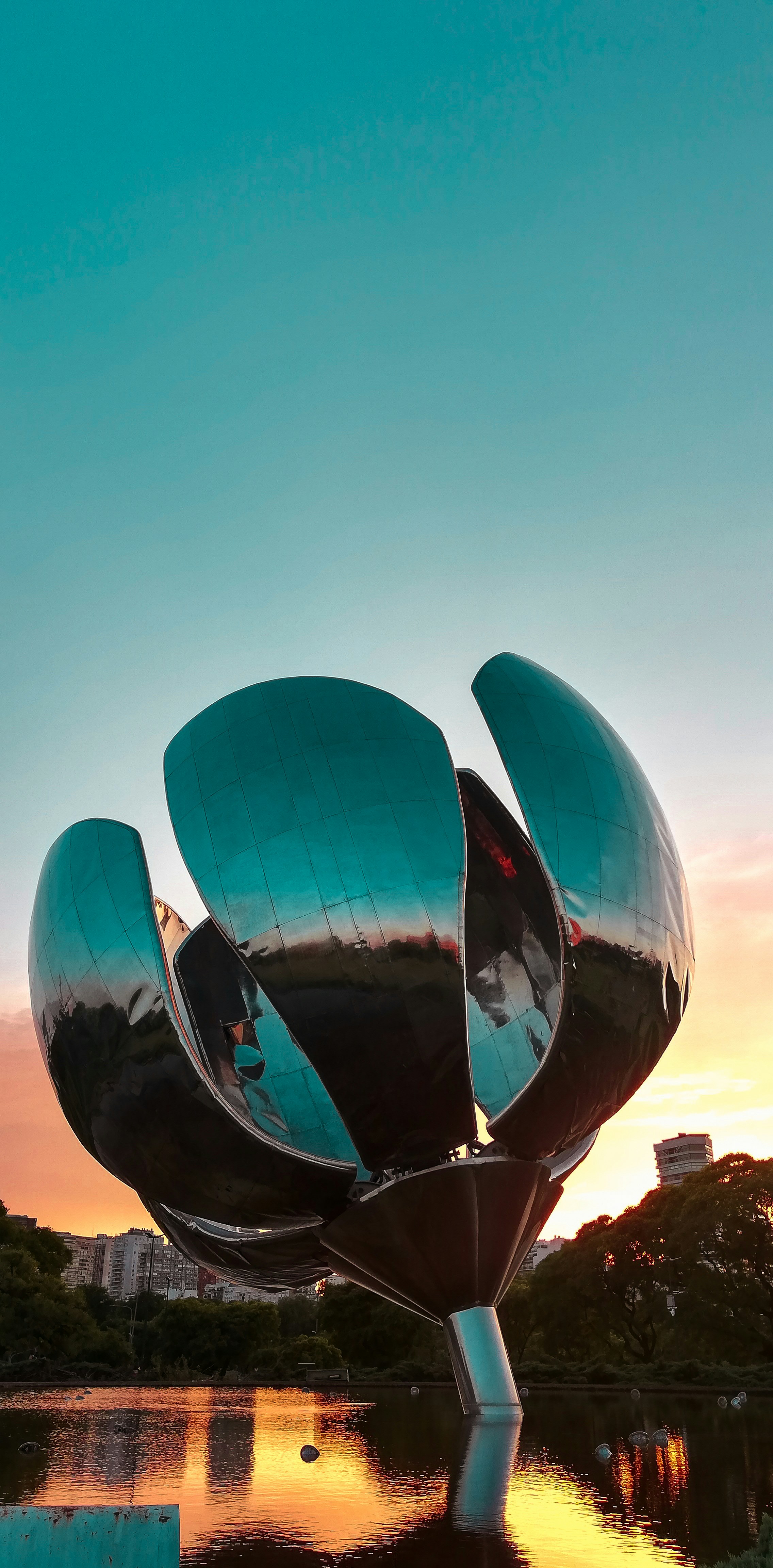 Reflective Bloom at TwilightEdgardo Ibarra